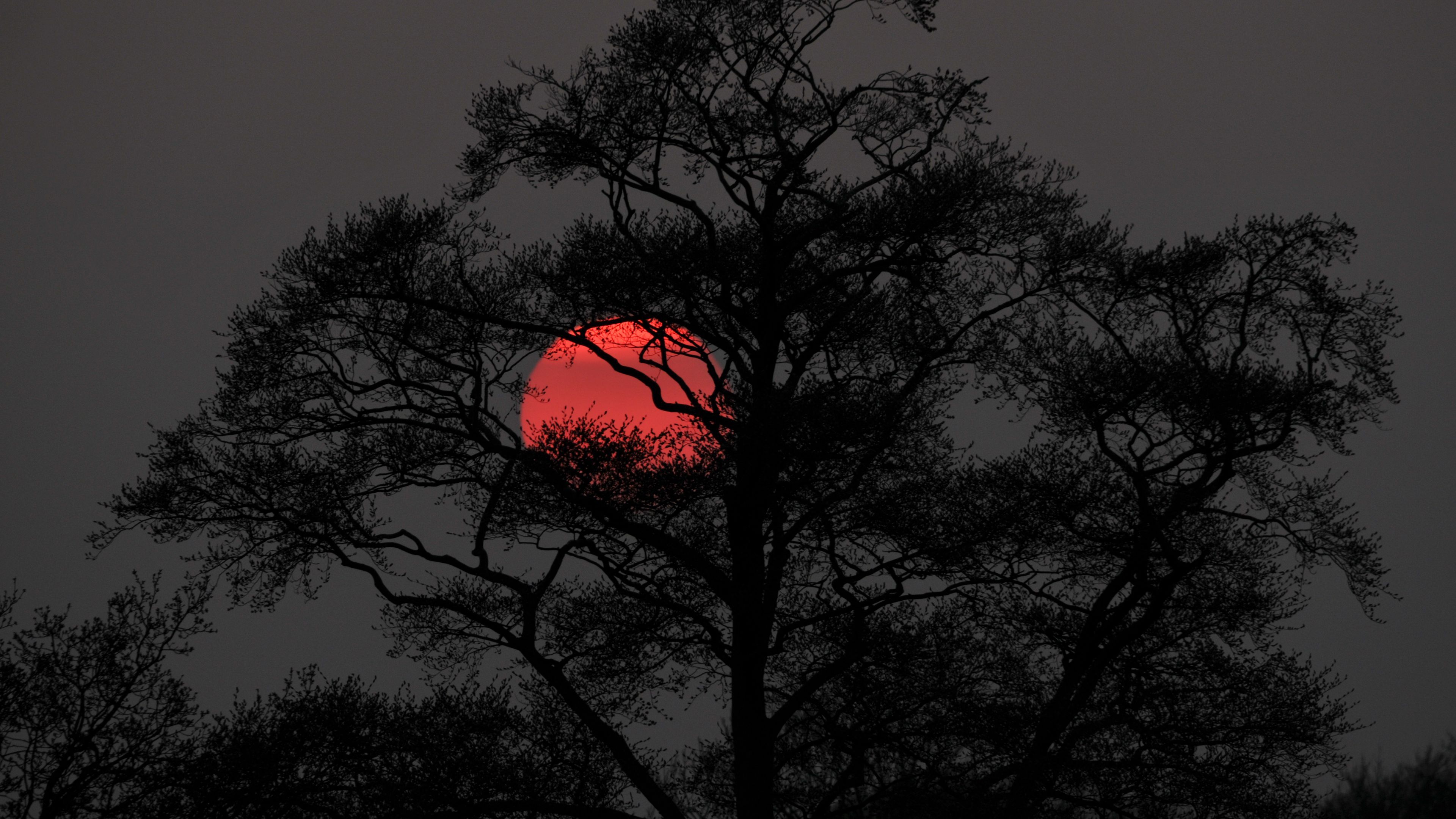 Dark Nature 4K Wallpapers - Top Free Dark Nature 4K Backgrounds ...