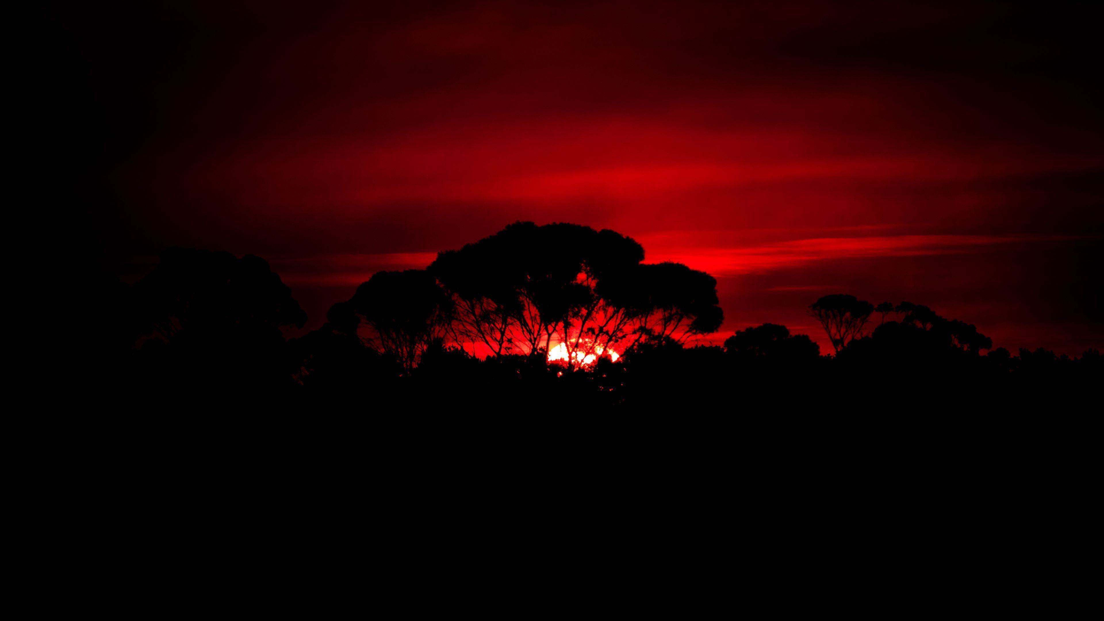 Dark Nature 4K Wallpapers - Top Free Dark Nature 4K Backgrounds ...