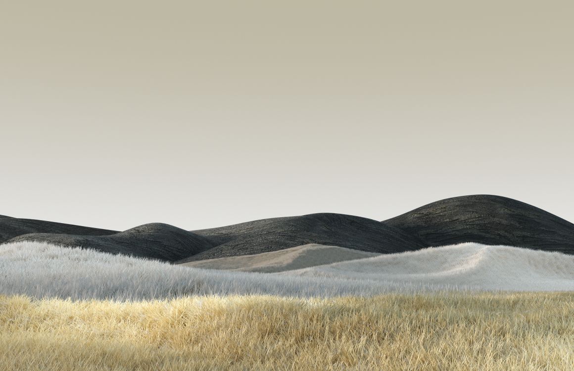 Surface Duo Wallpapers - Top Free Surface Duo Backgrounds - WallpaperAccess