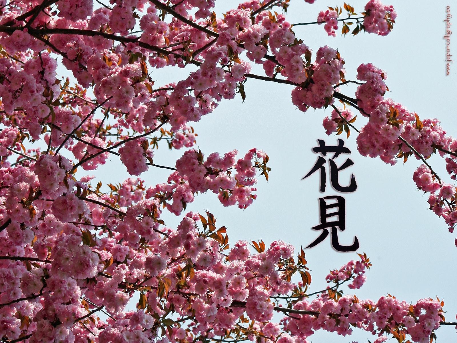 Japanese Kanji Wallpapers - Top Free Japanese Kanji Backgrounds ...