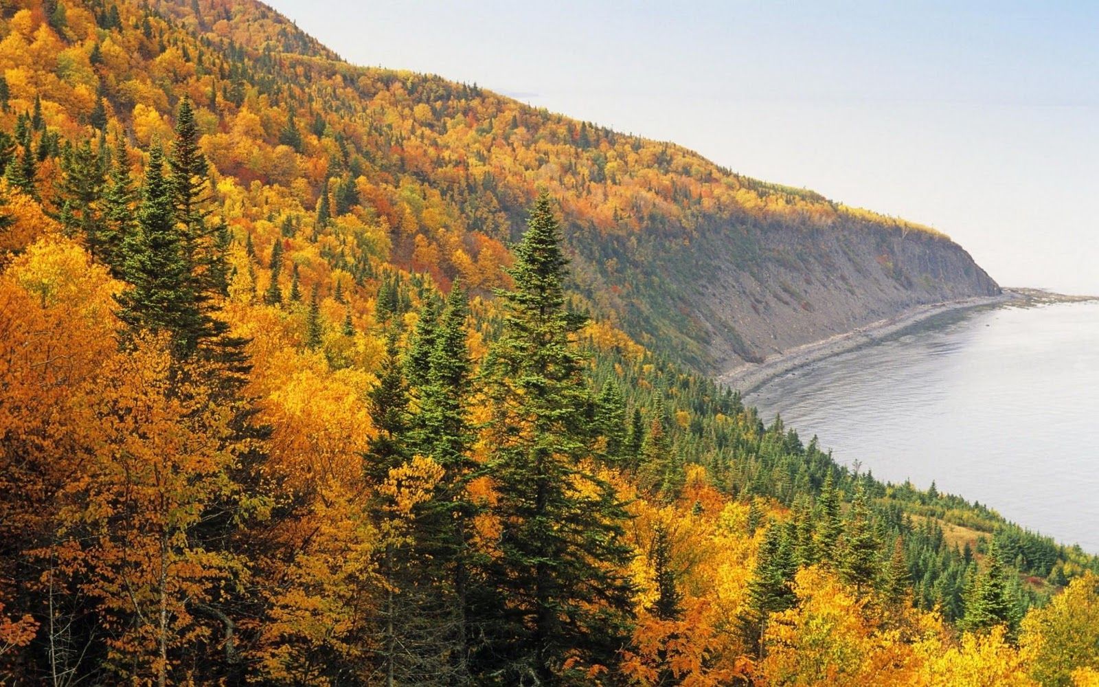 Canada Fall Wallpapers - Top Free Canada Fall Backgrounds - WallpaperAccess