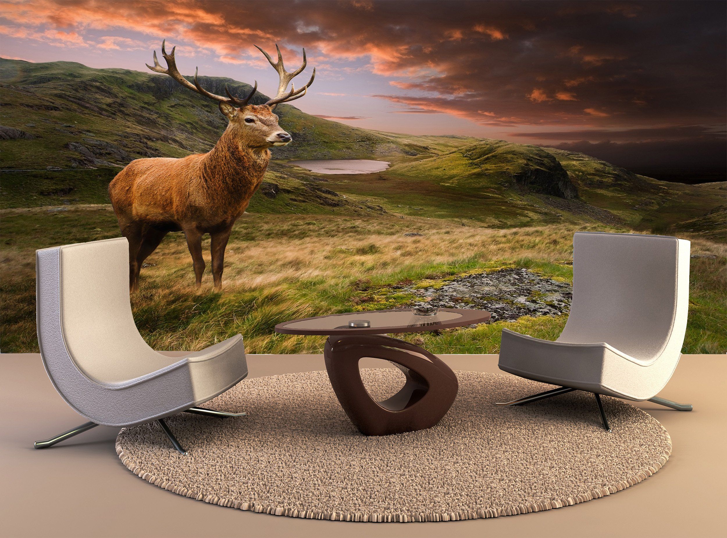 Red Deer Wallpapers - Top Free Red Deer Backgrounds - WallpaperAccess