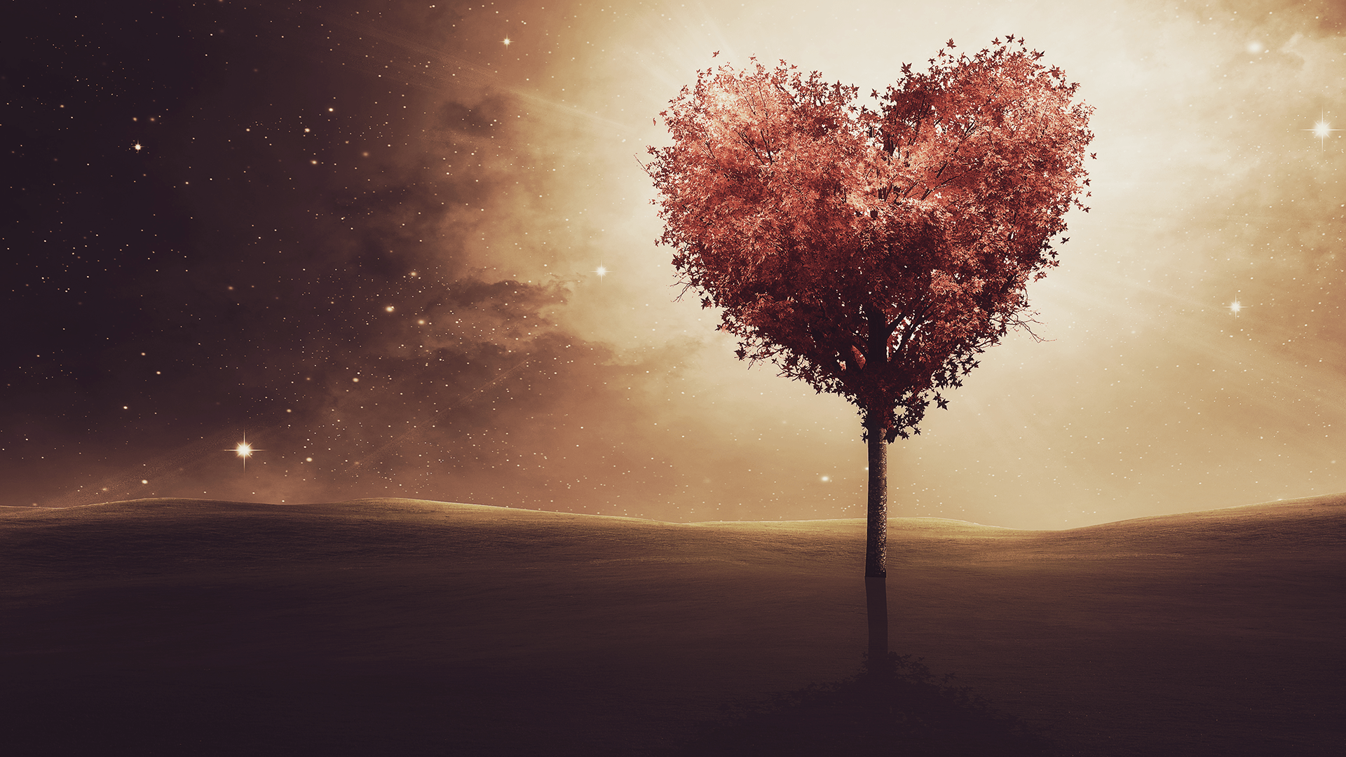 Testimony Wallpapers - Top Free Testimony Backgrounds - WallpaperAccess