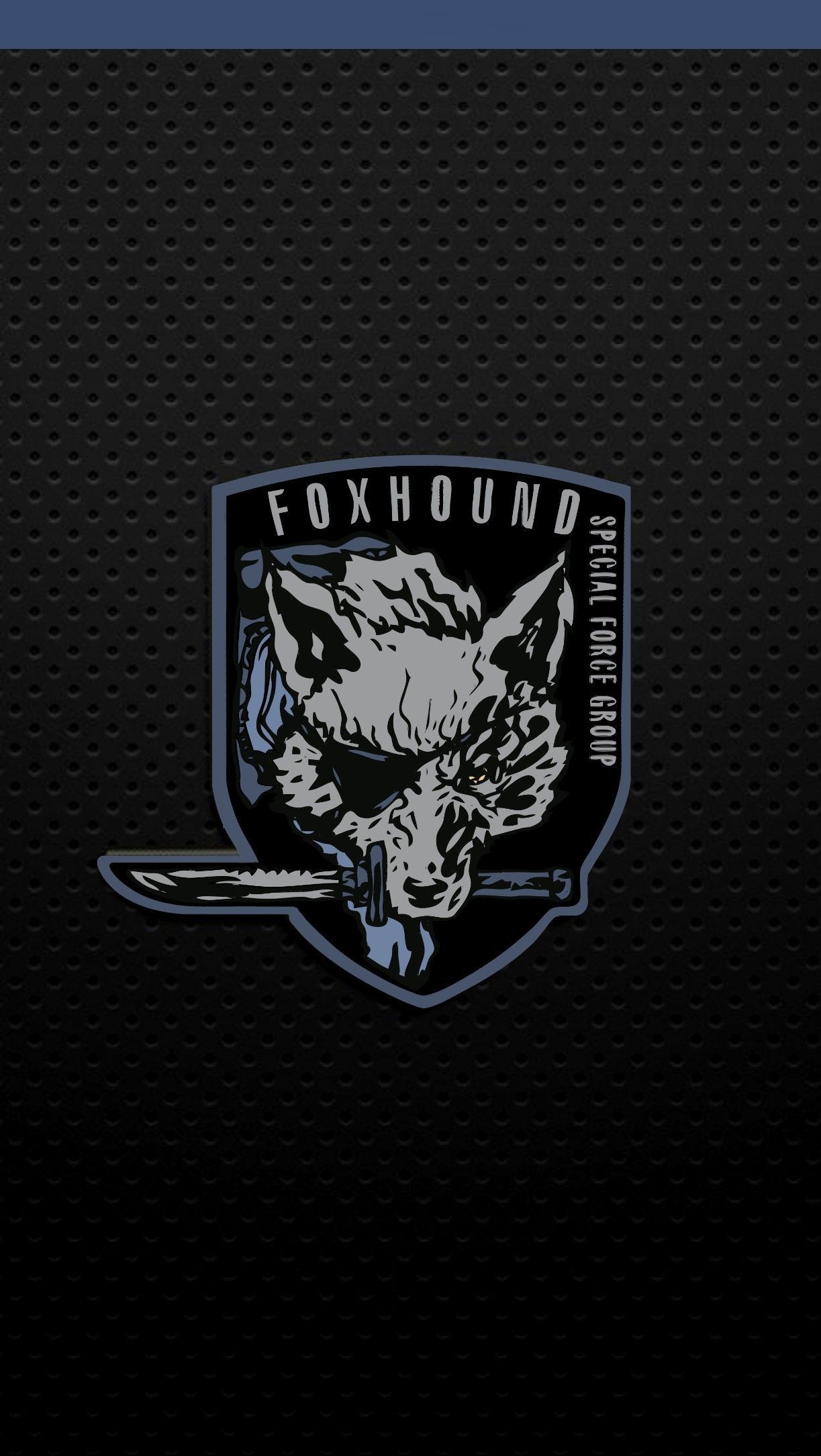 Foxhound Wallpapers - Top Free Foxhound Backgrounds - WallpaperAccess