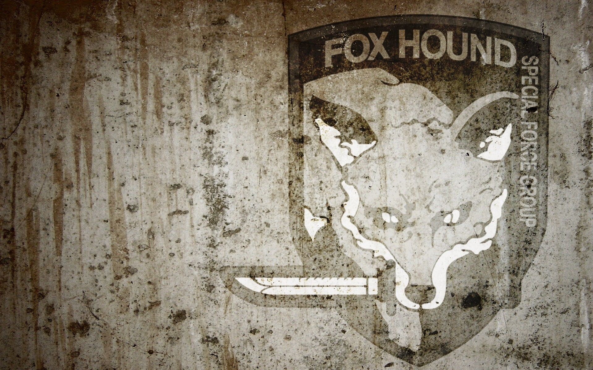 Foxhound Wallpapers - Top Free Foxhound Backgrounds - WallpaperAccess