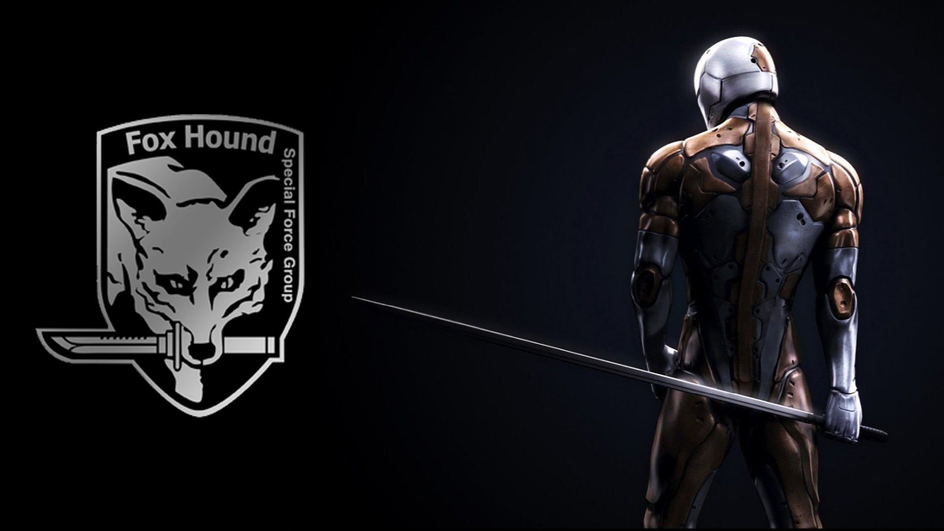 Foxhound Wallpapers - Top Free Foxhound Backgrounds - WallpaperAccess