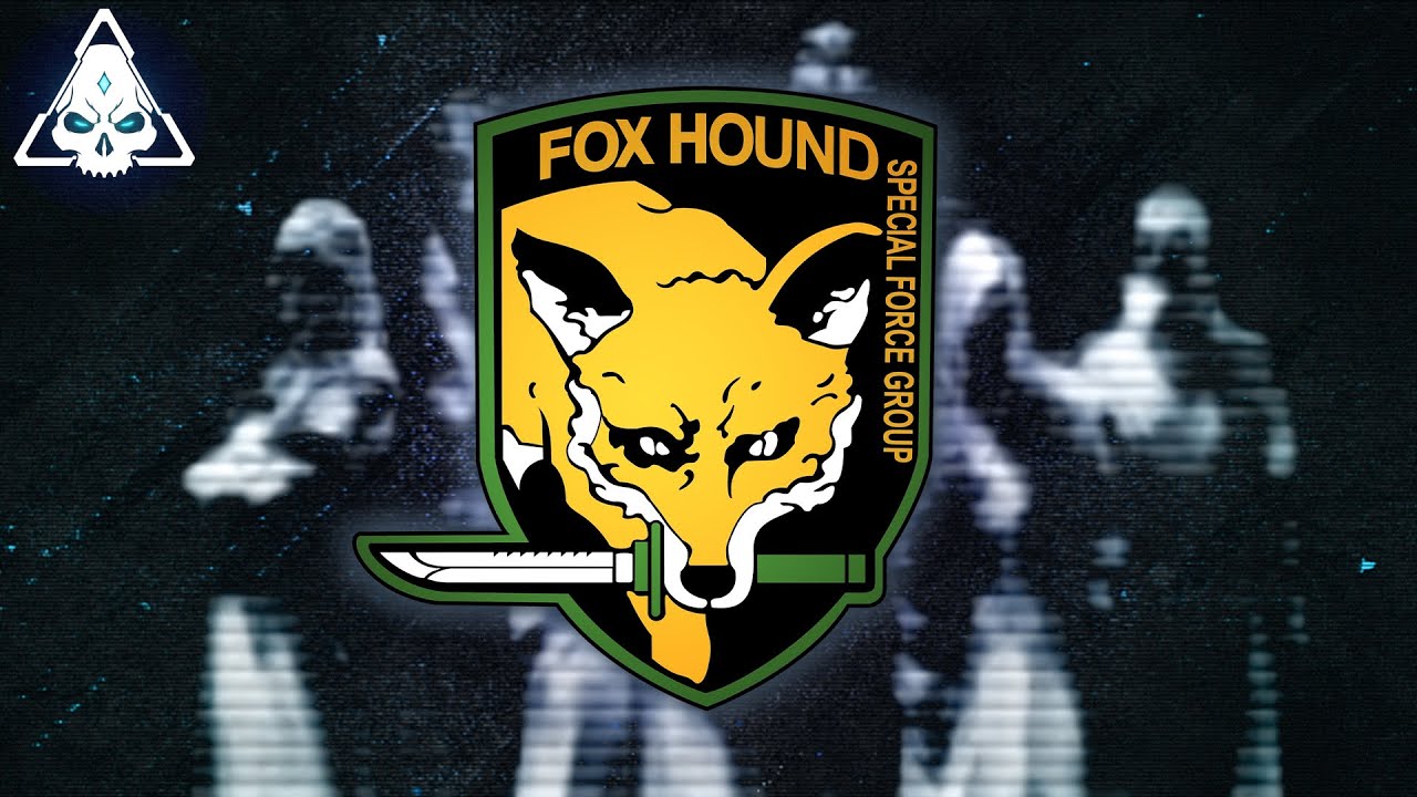 Foxhound Wallpapers - Top Free Foxhound Backgrounds - WallpaperAccess