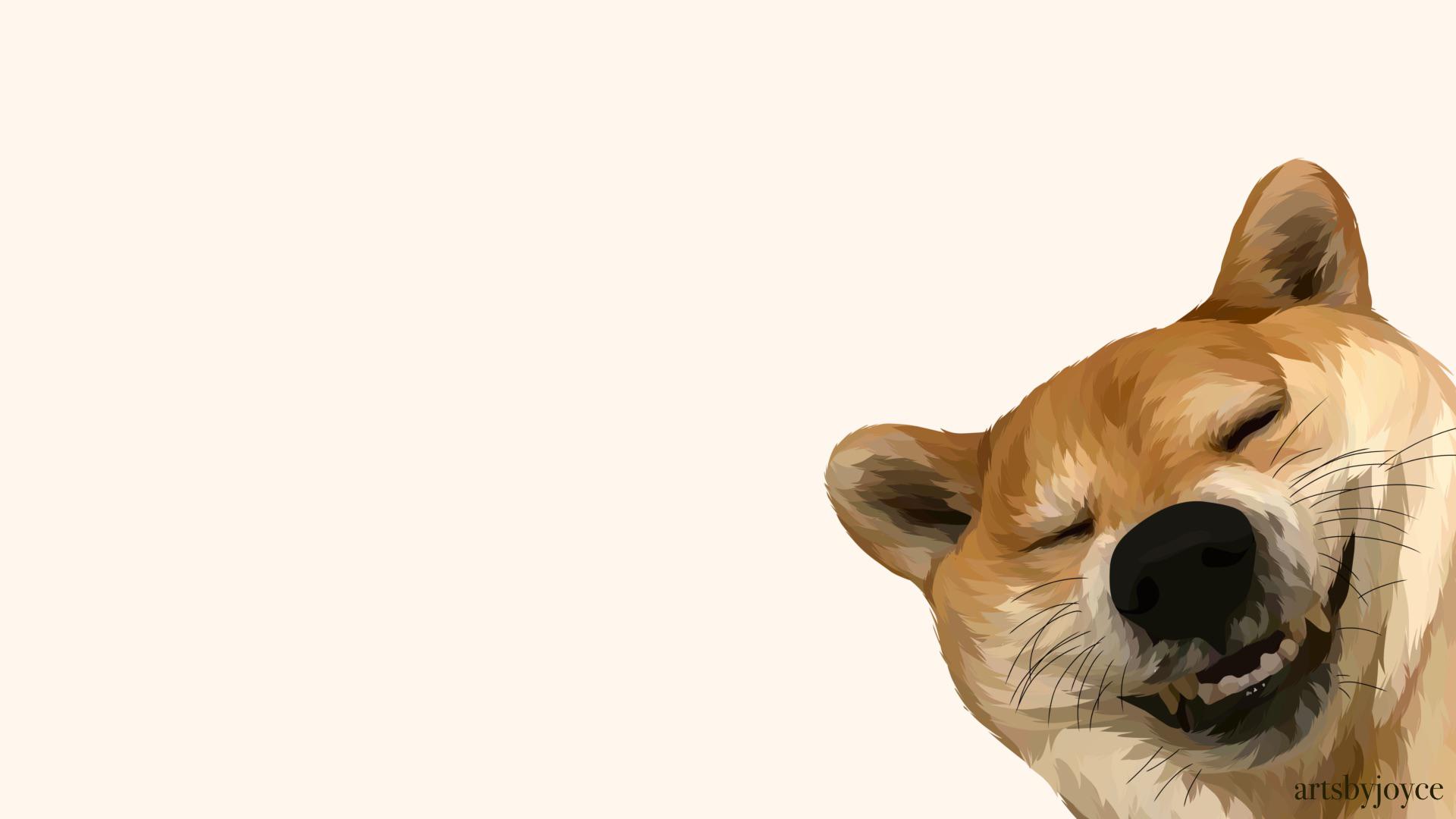 Shiba Dog Wallpapers - Top Free Shiba Dog Backgrounds - WallpaperAccess