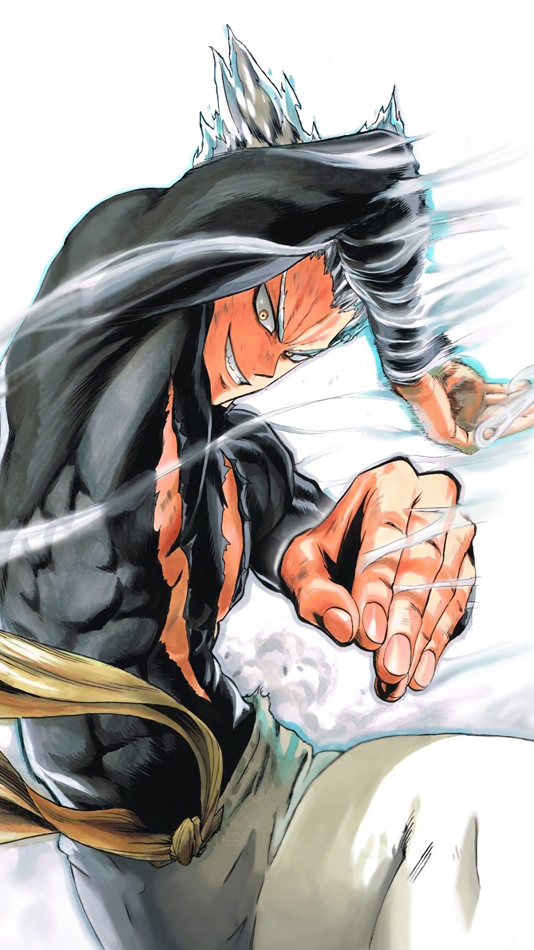 Garou Manga Wallpapers - Top Free Garou Manga Backgrounds - WallpaperAccess