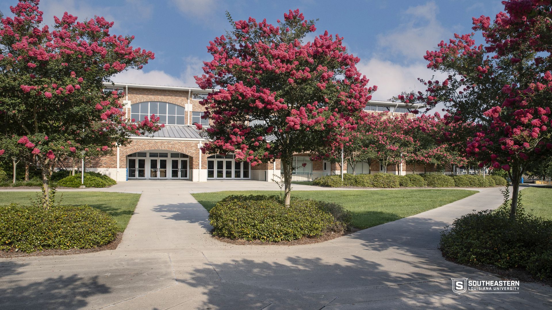 Driveway Wallpapers - Top Free Driveway Backgrounds - WallpaperAccess