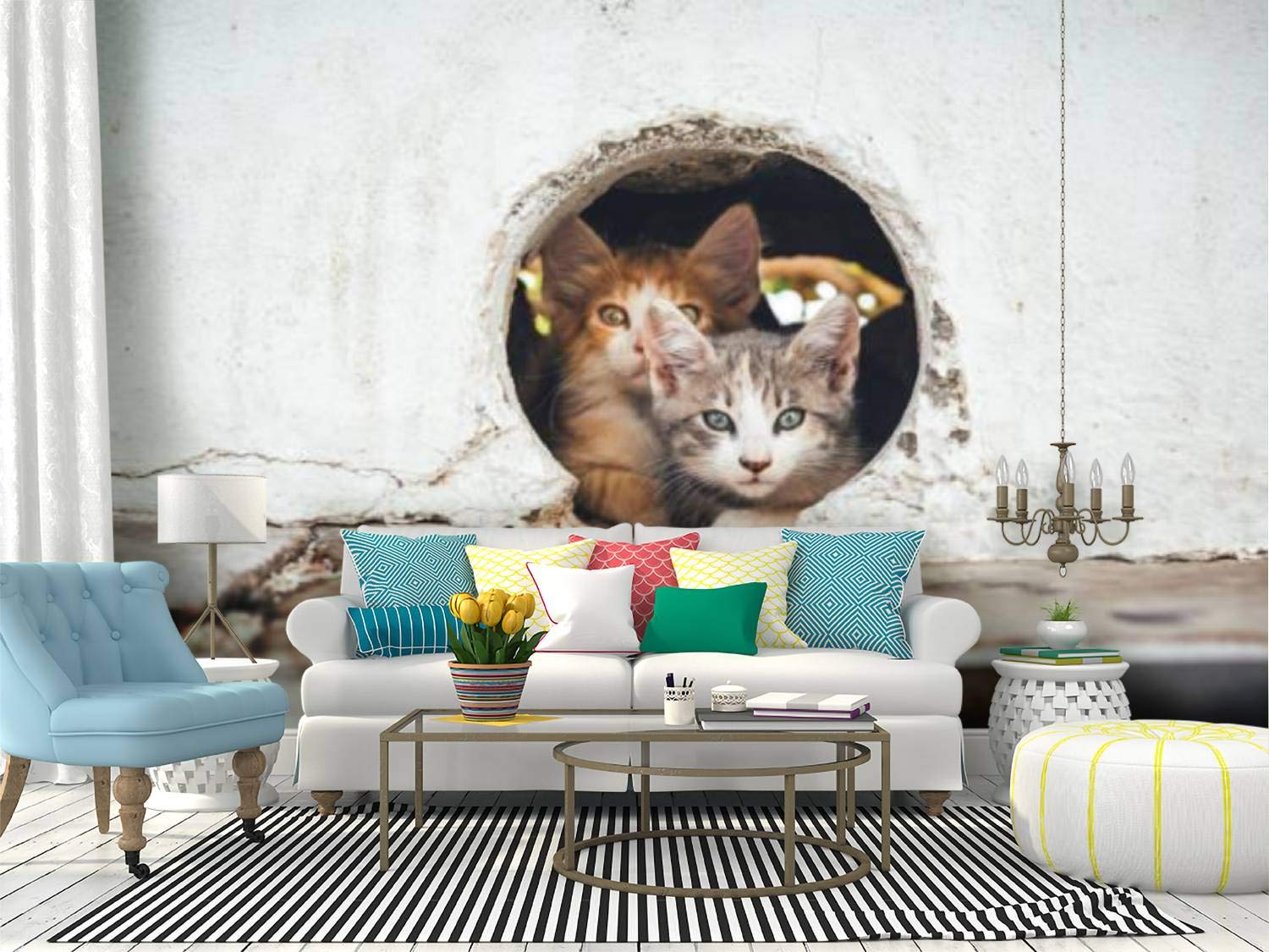 Small Cat Wallpapers - Top Free Small Cat Backgrounds - WallpaperAccess