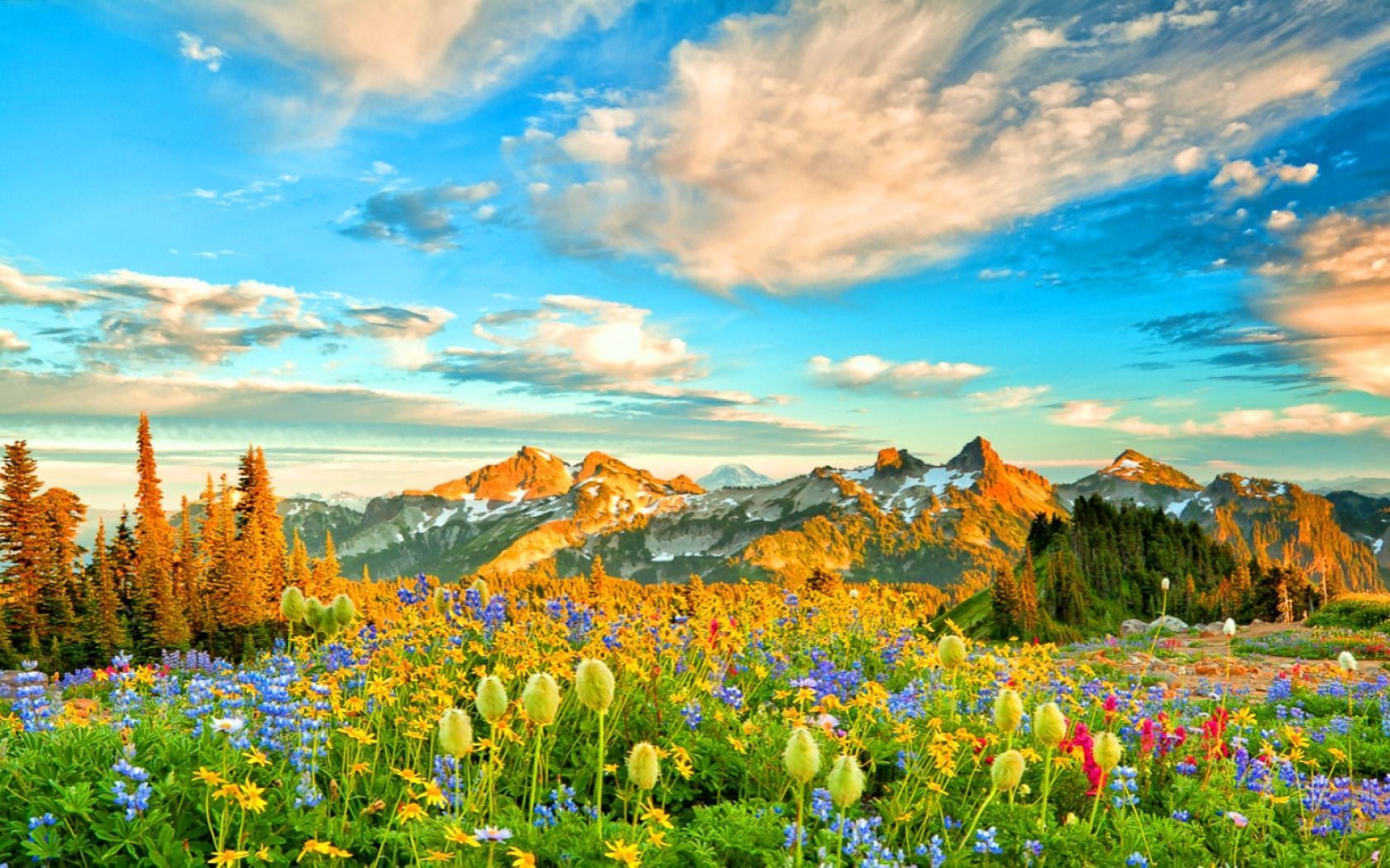 Mountains With Flowers Wallpapers - Top Free Mountains With Flowers ...