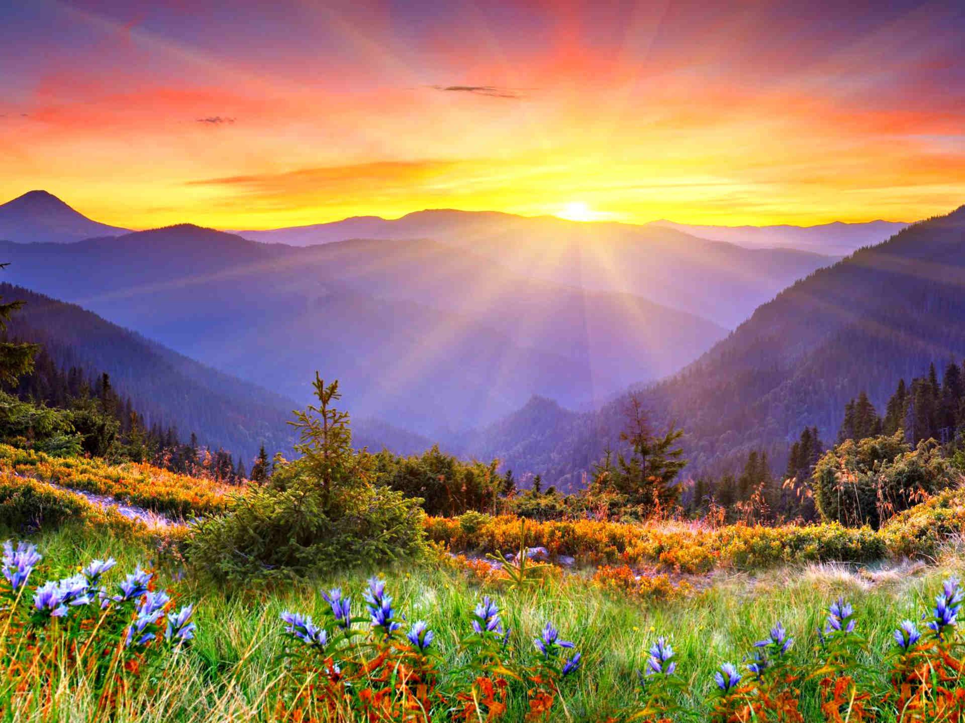 Mountains With Flowers Wallpapers - Top Free Mountains With Flowers ...