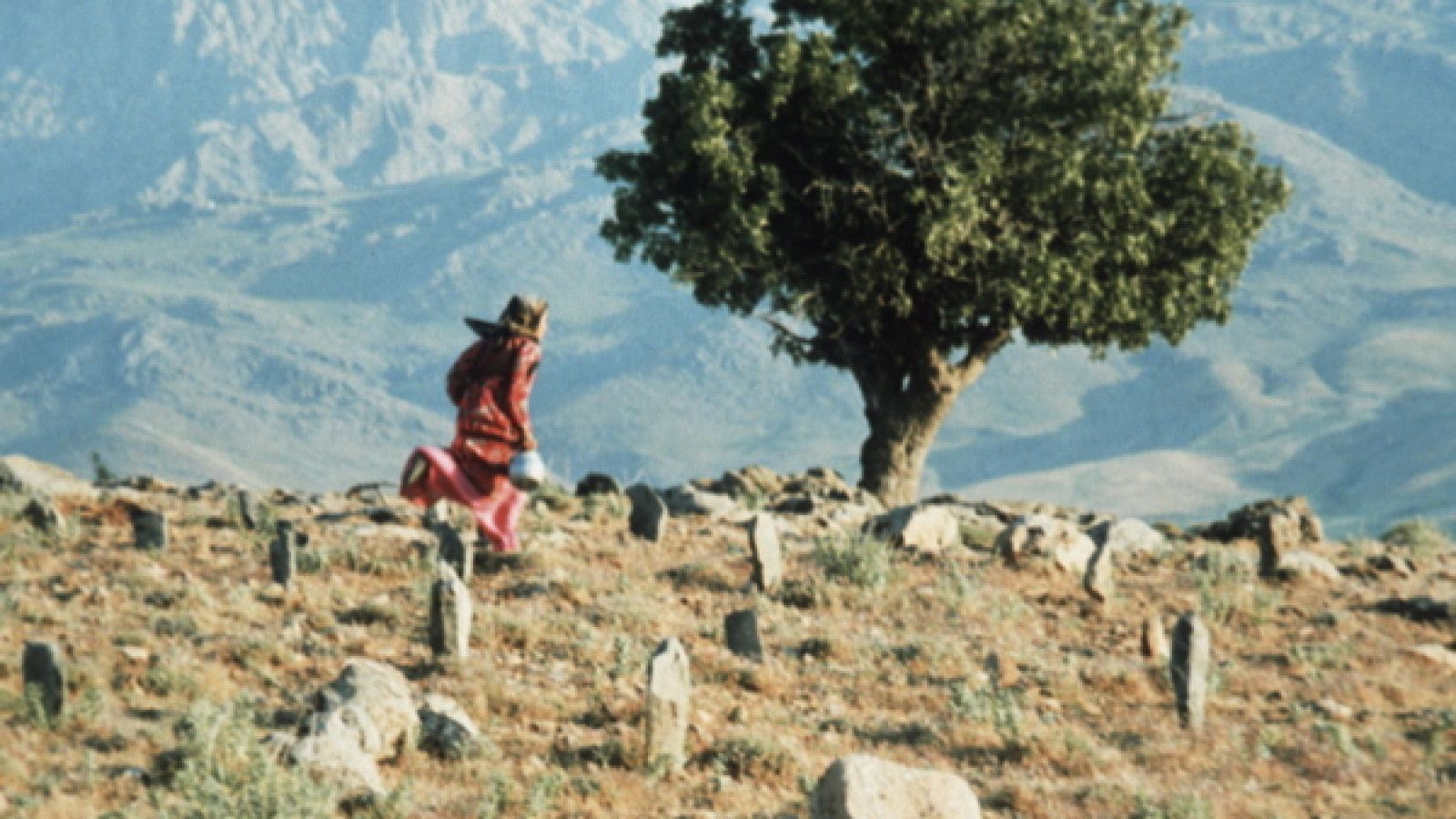 Abbas Kiarostami Wallpapers - Top Free Abbas Kiarostami Backgrounds - WallpaperAccess