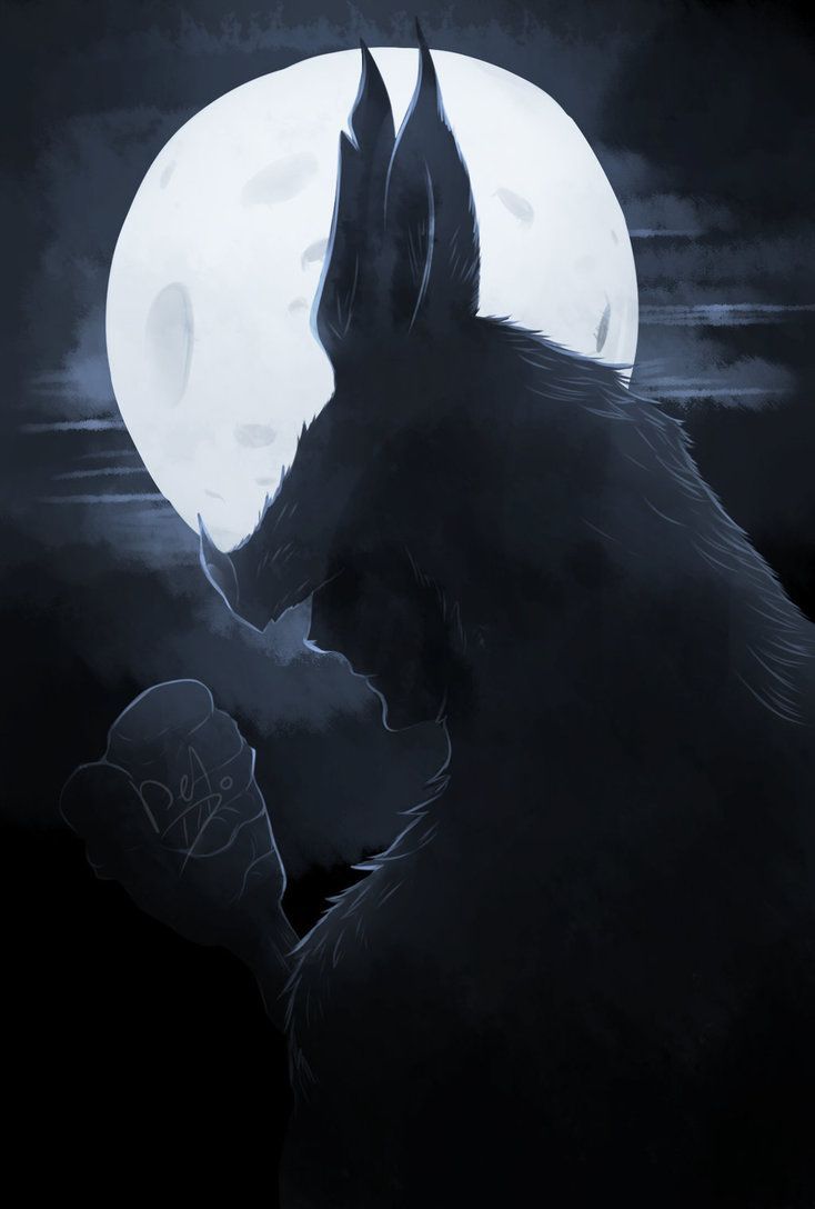 Mandrake Wallpapers - Top Free Mandrake Backgrounds - WallpaperAccess