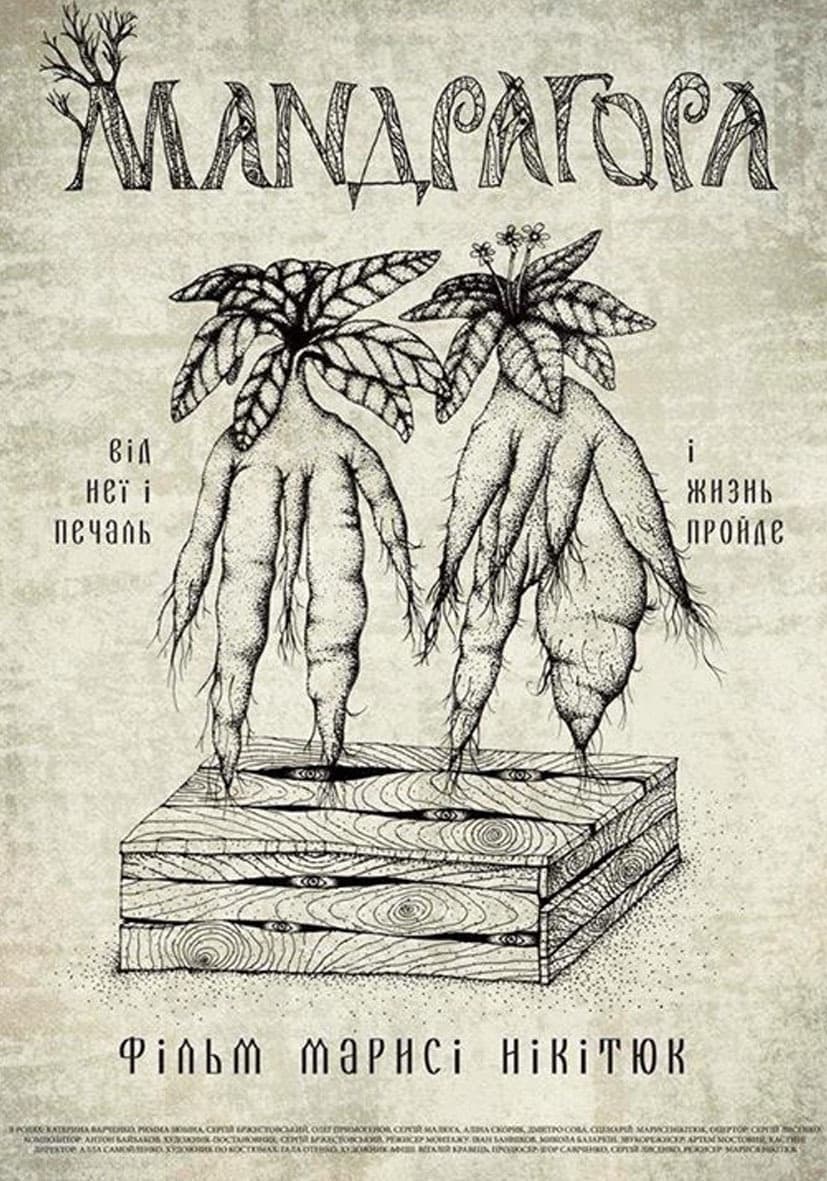 Mandrake Wallpapers - Top Free Mandrake Backgrounds - WallpaperAccess