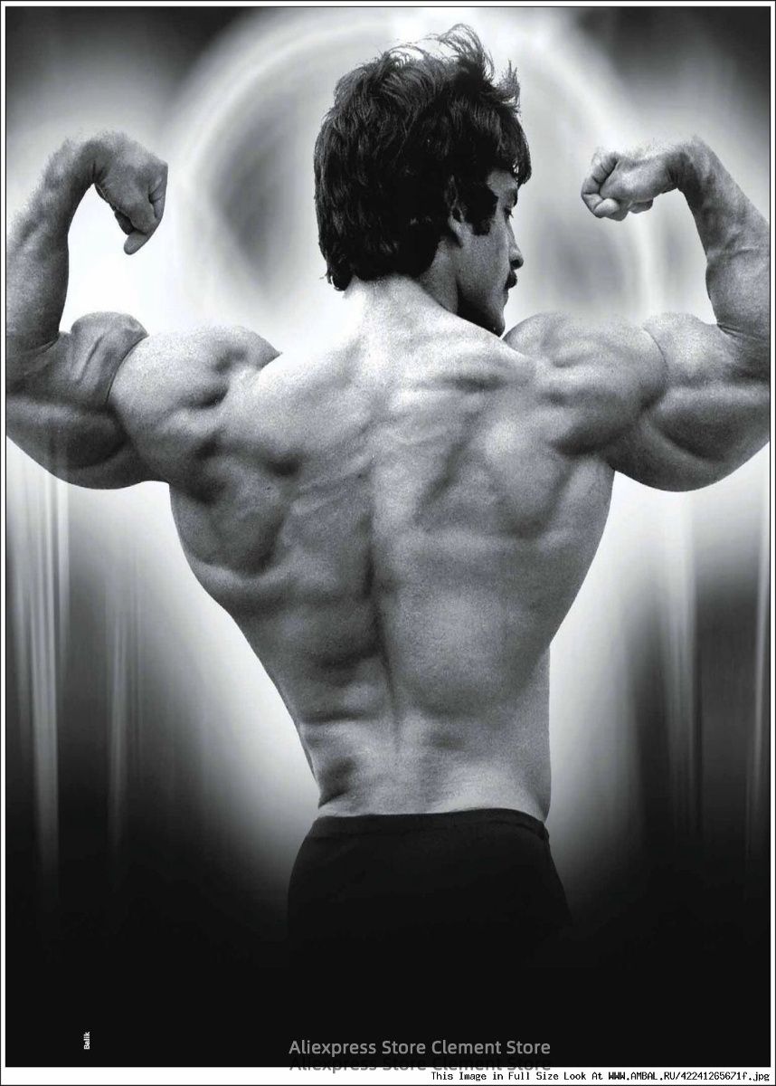 Mike Mentzer Wallpapers - Top Free Mike Mentzer Backgrounds ...