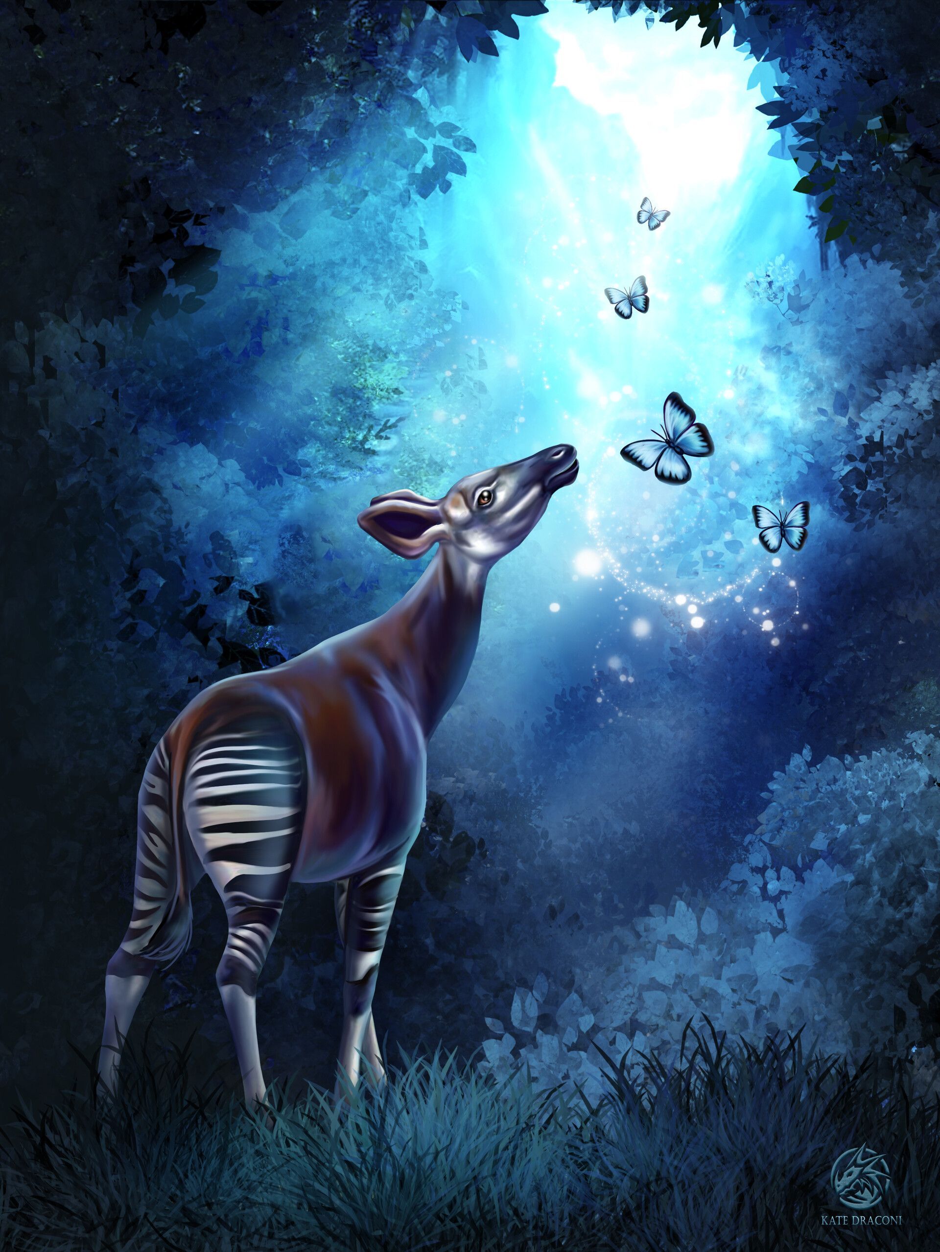 Okapi Wallpapers - Top Free Okapi Backgrounds - WallpaperAccess