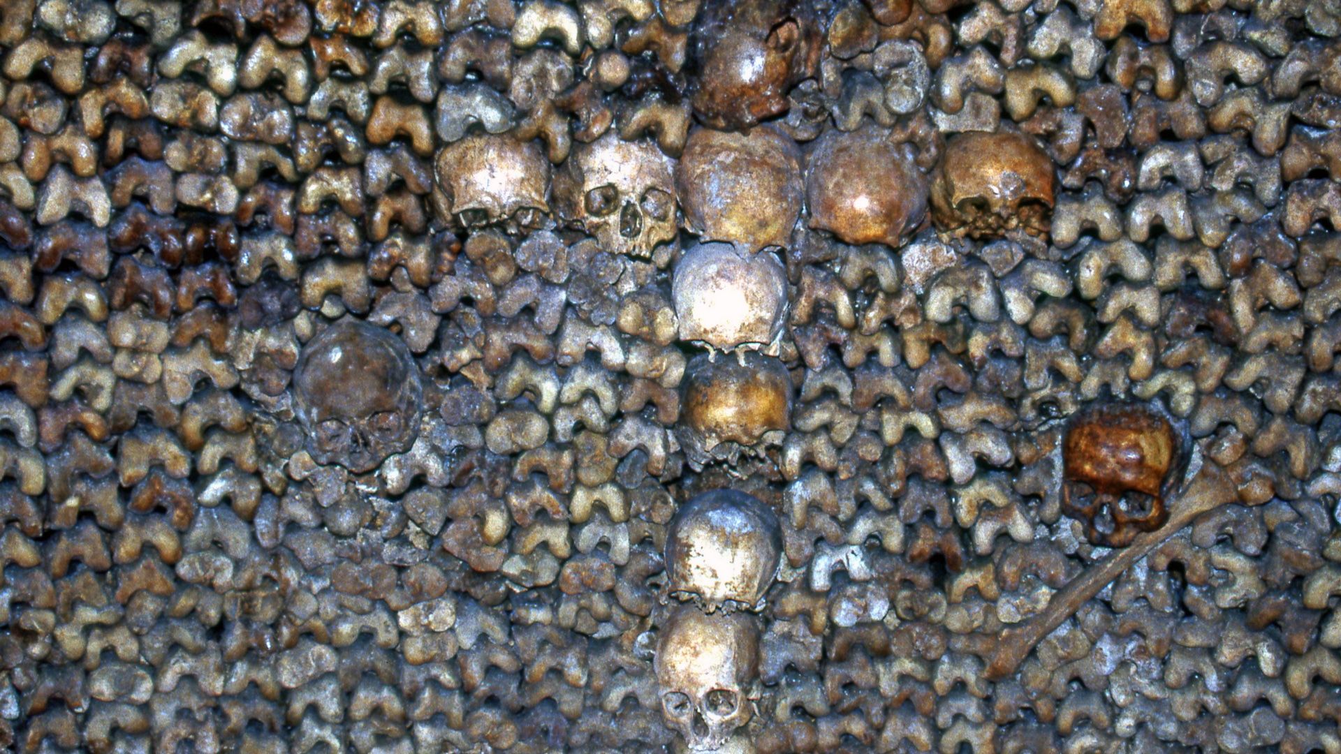 Catacombs Wallpapers - Top Free Catacombs Backgrounds - WallpaperAccess