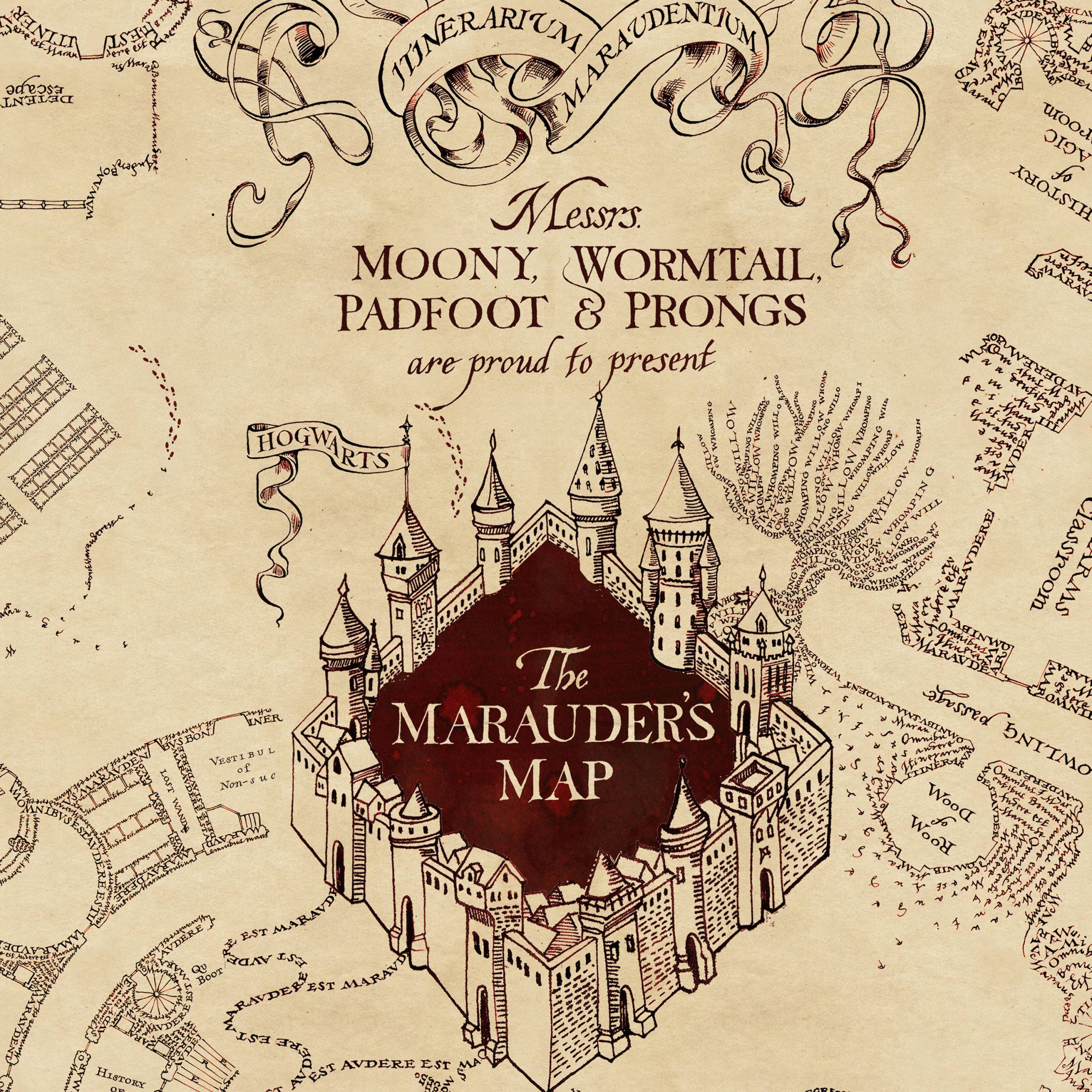 Hogwarts Map Wallpapers - Top Free Hogwarts Map Backgrounds ...