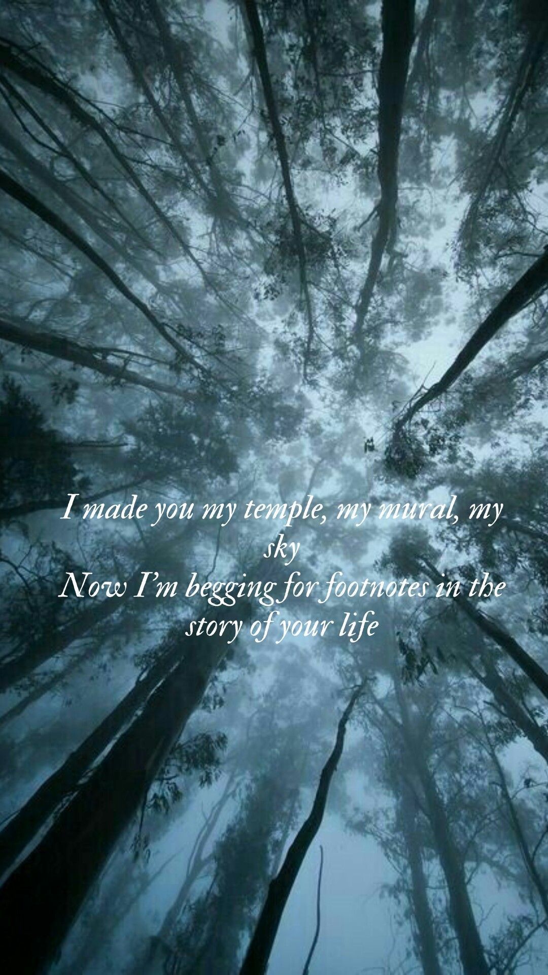 Evermore Lyrics Wallpapers - Top Free Evermore Lyrics Backgrounds ...