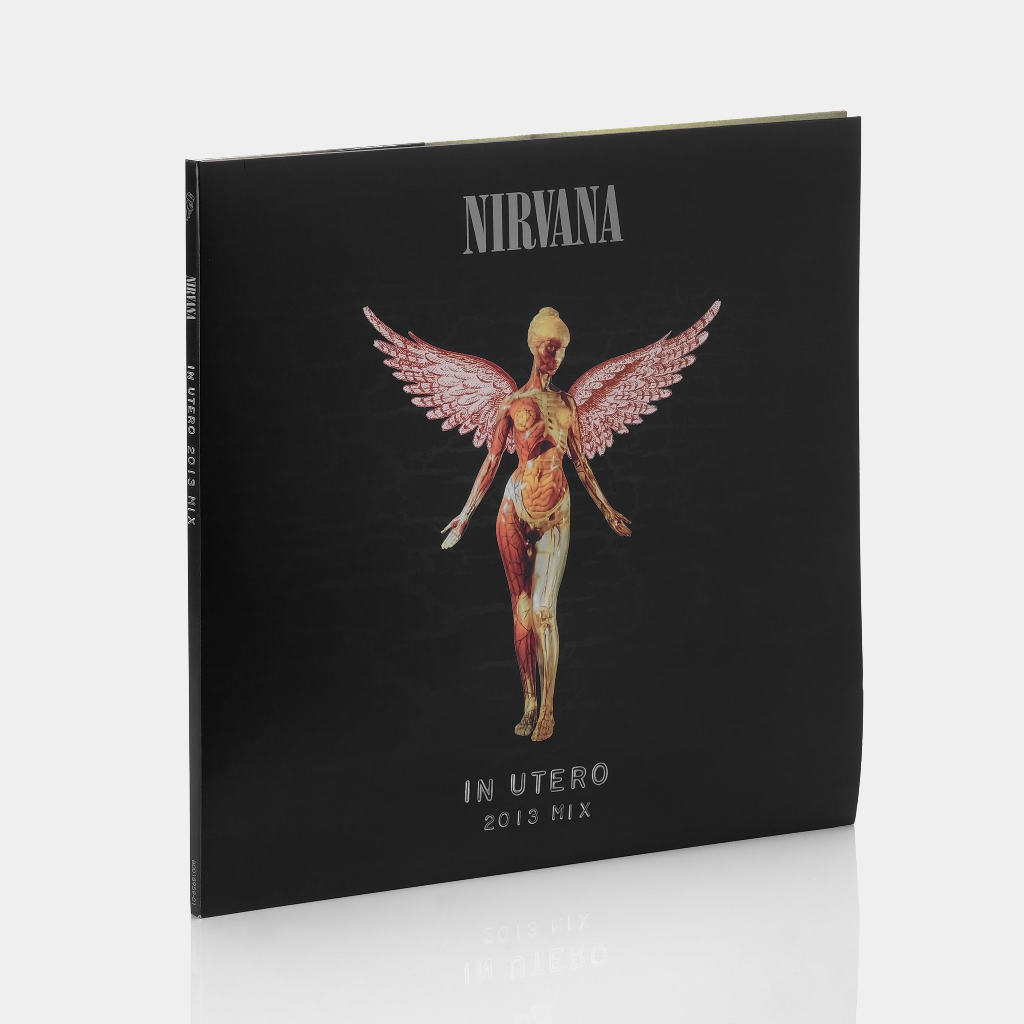 Nirvana In Utero Wallpapers - Top Free Nirvana In Utero Backgrounds - WallpaperAccess