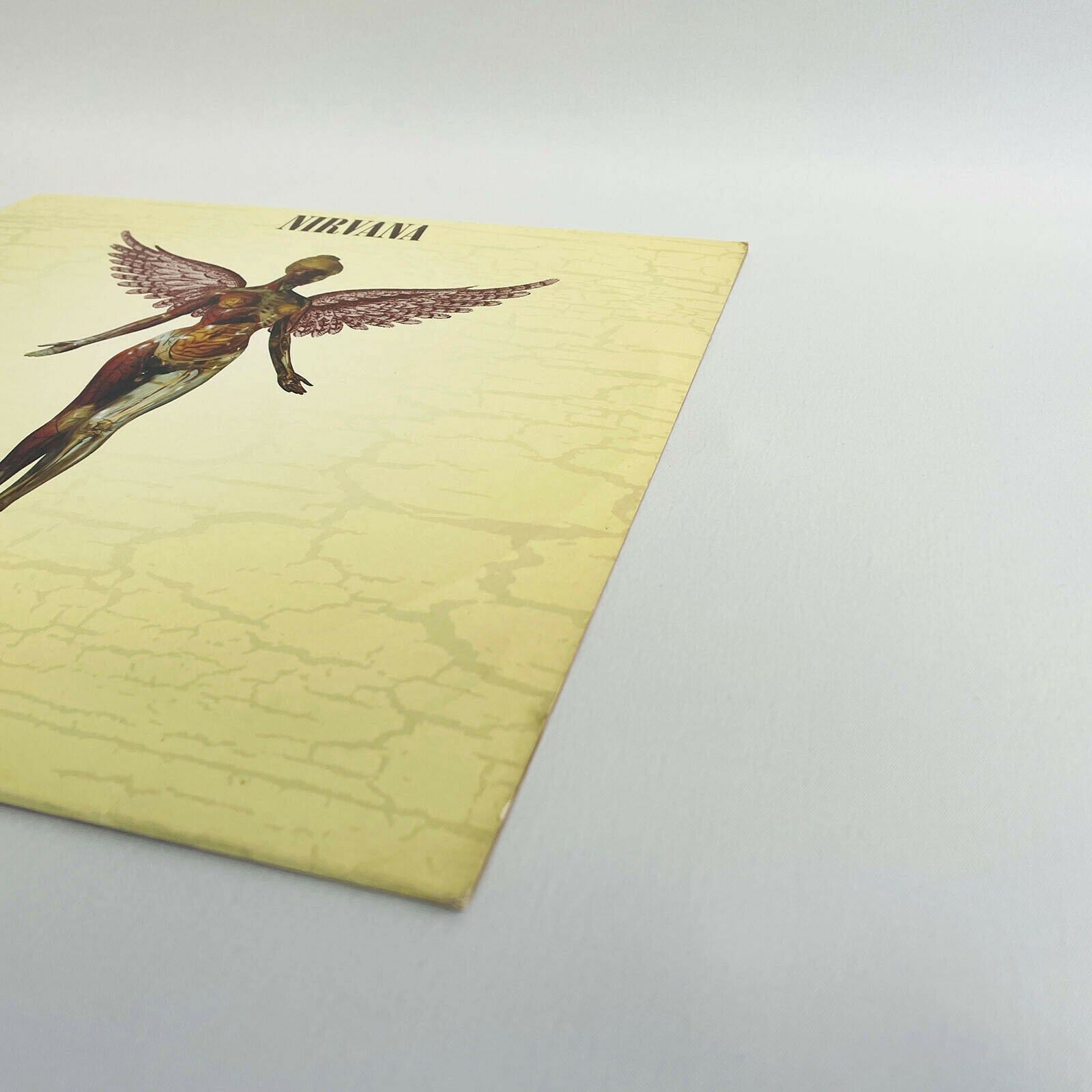 Nirvana In Utero Wallpapers - Top Free Nirvana In Utero Backgrounds ...