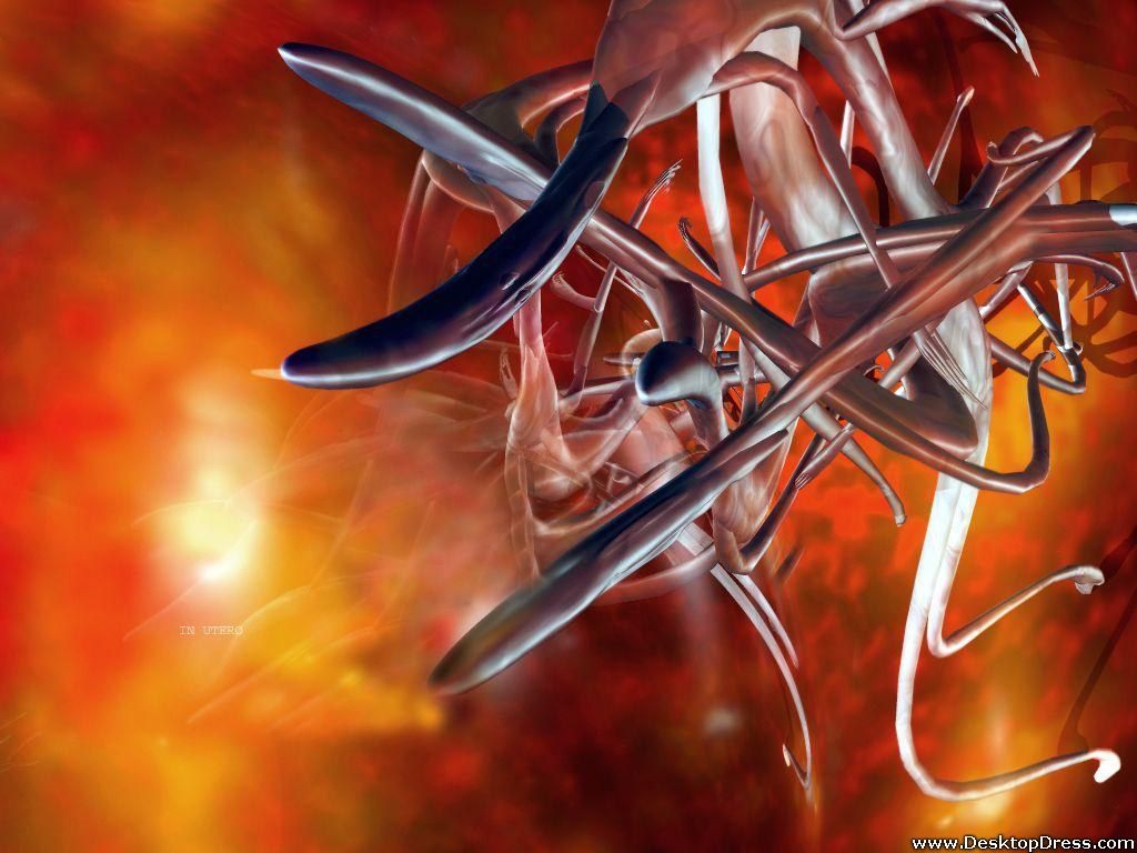 In Utero Wallpaper In Utero by murrau on DeviantArt