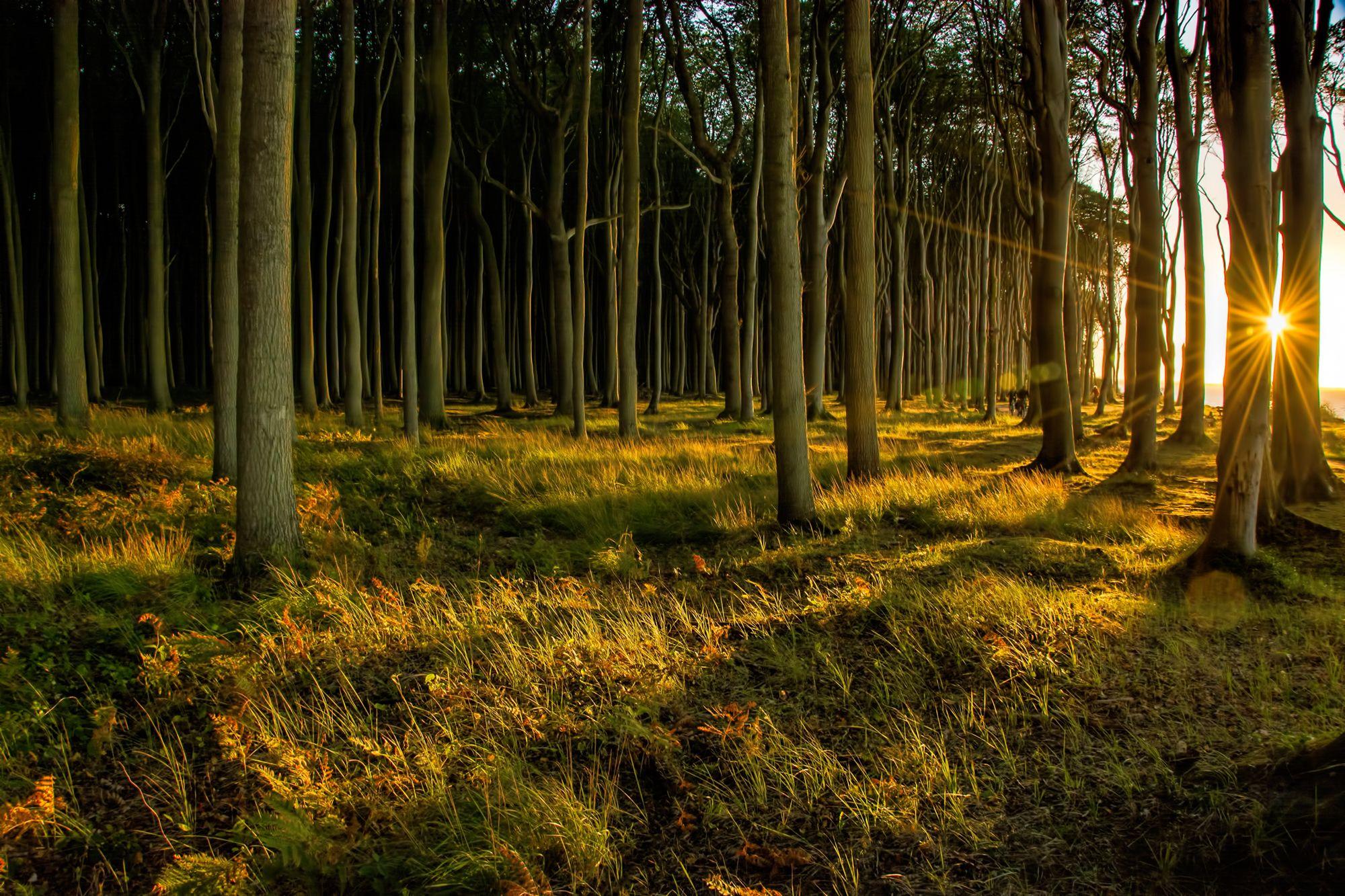 Germany Wallpapers - Top Free Germany Backgrounds - WallpaperAccess