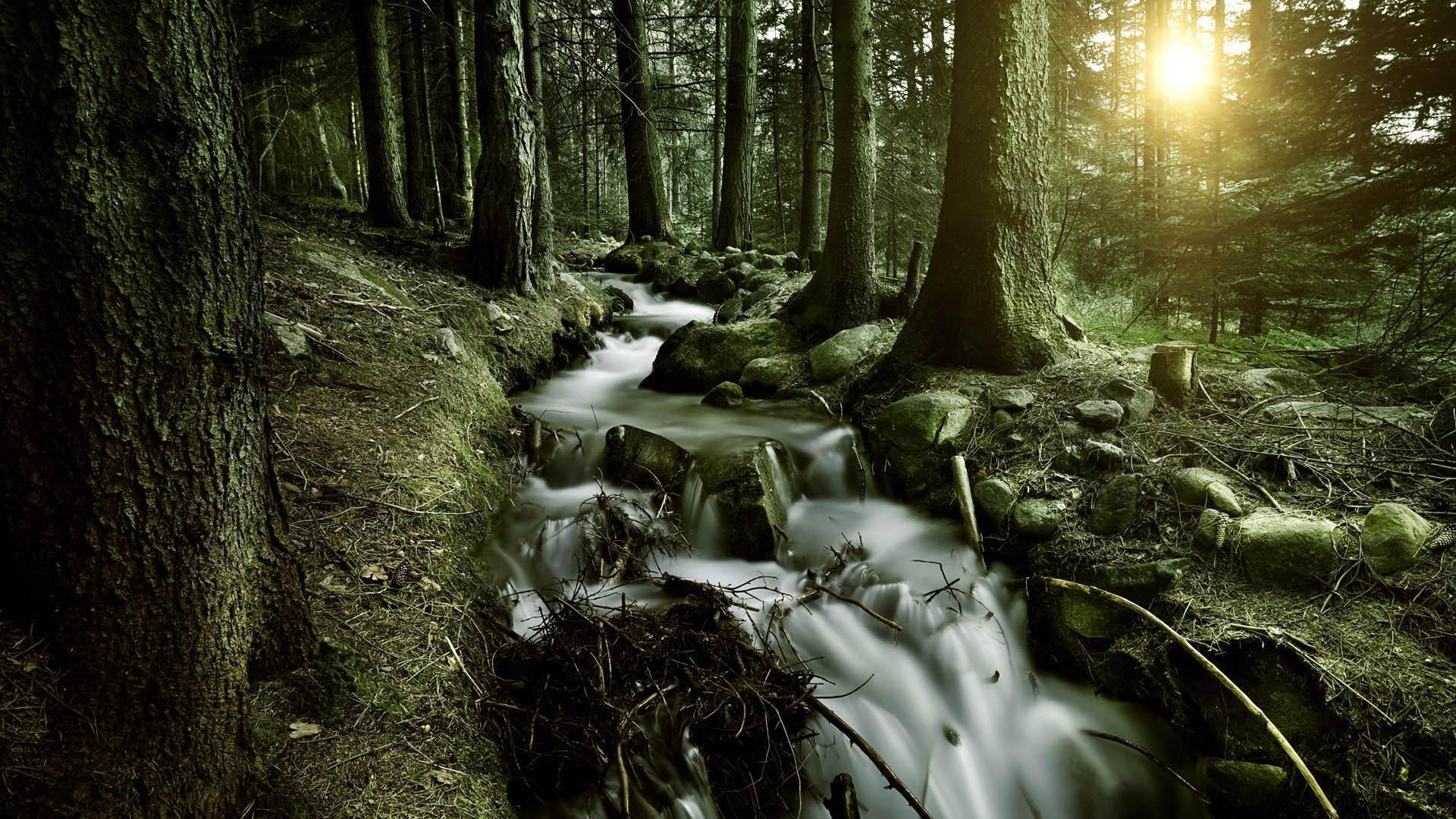 1090X1080 Wallpapers - Top Free 1090X1080 Backgrounds - WallpaperAccess