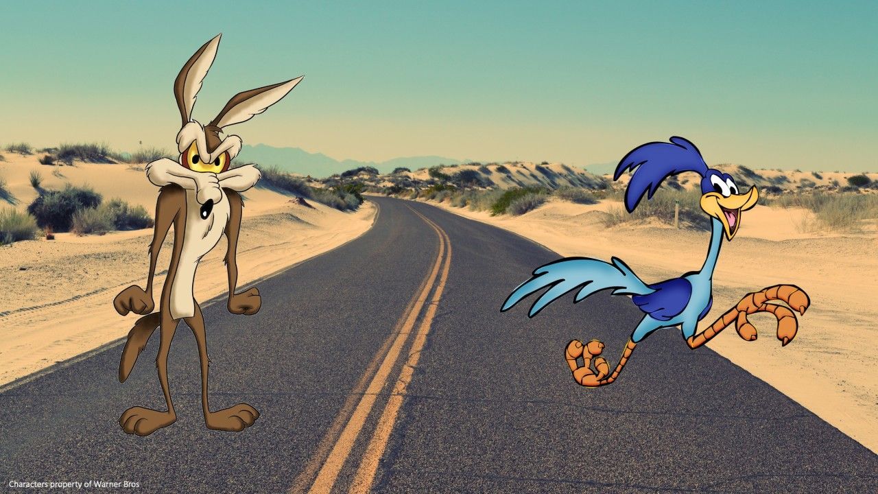 Wile E Coyote Wallpapers - Top Free Wile E Coyote Backgrounds - WallpaperAccess