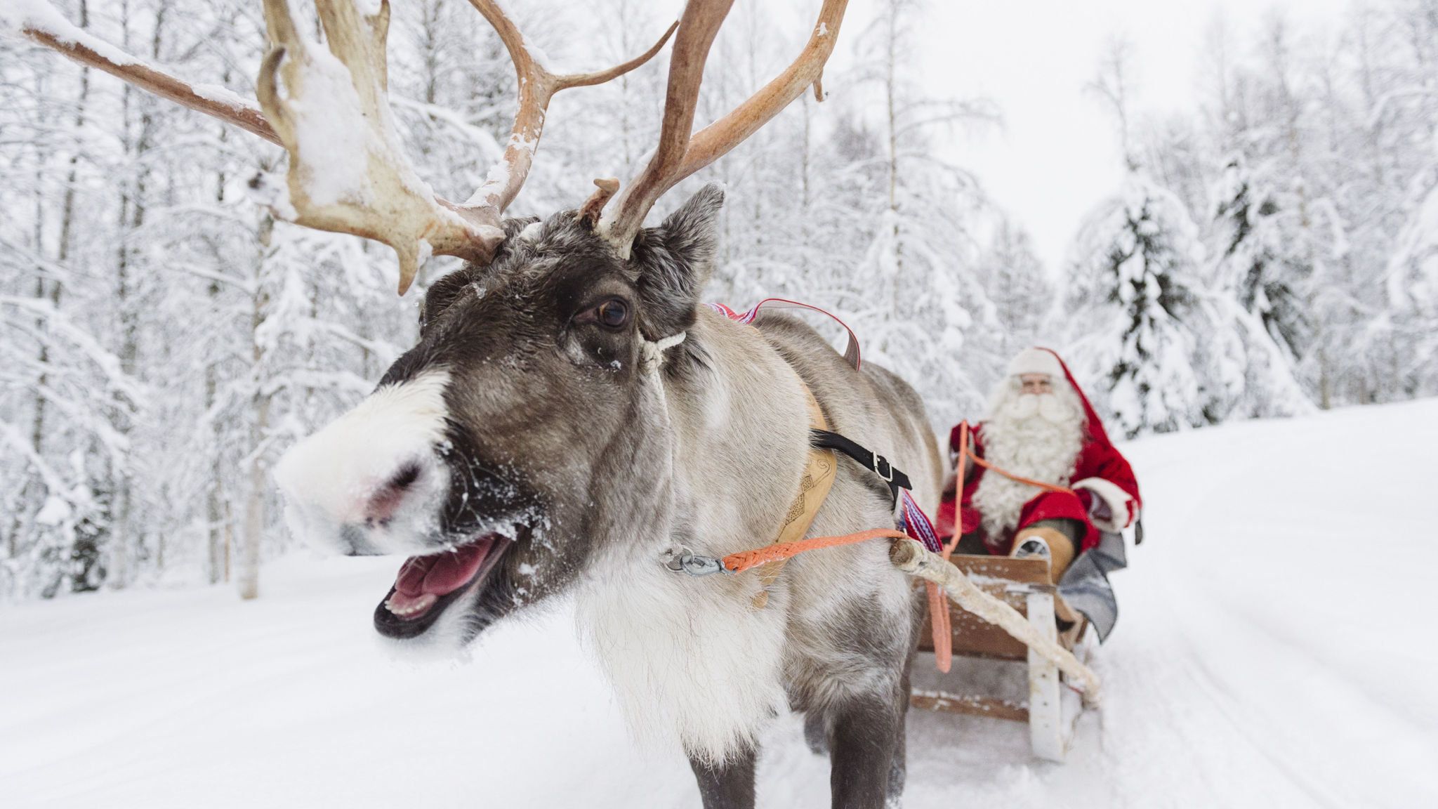 Rovaniemi Wallpapers Top Free Rovaniemi Backgrounds Wallpaperaccess