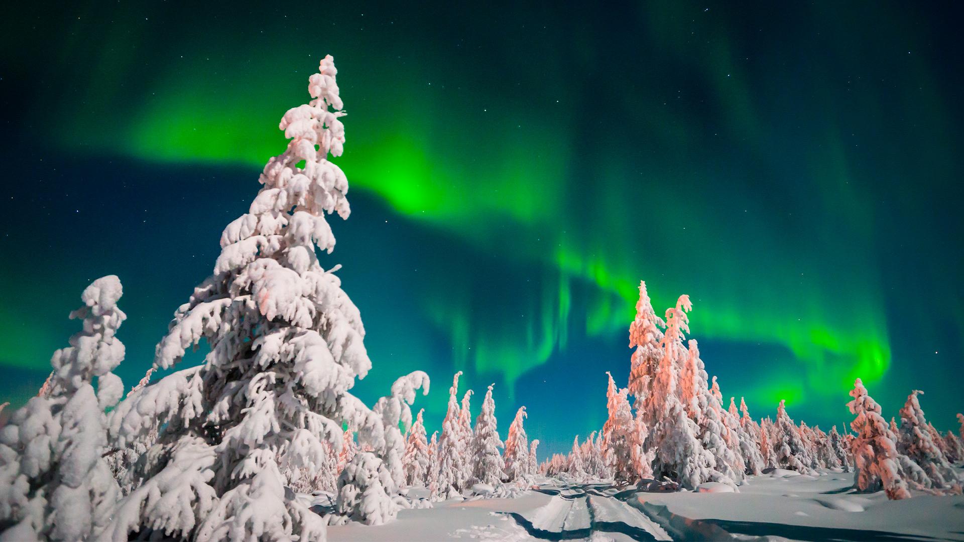 Rovaniemi Wallpapers - Top Free Rovaniemi Backgrounds - WallpaperAccess