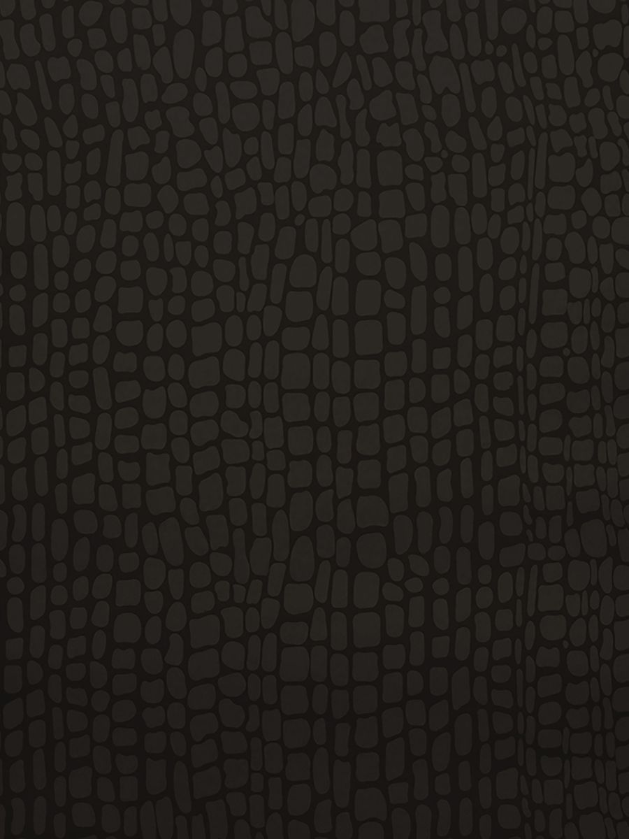 Black Skin Wallpapers - Top Free Black Skin Backgrounds - WallpaperAccess