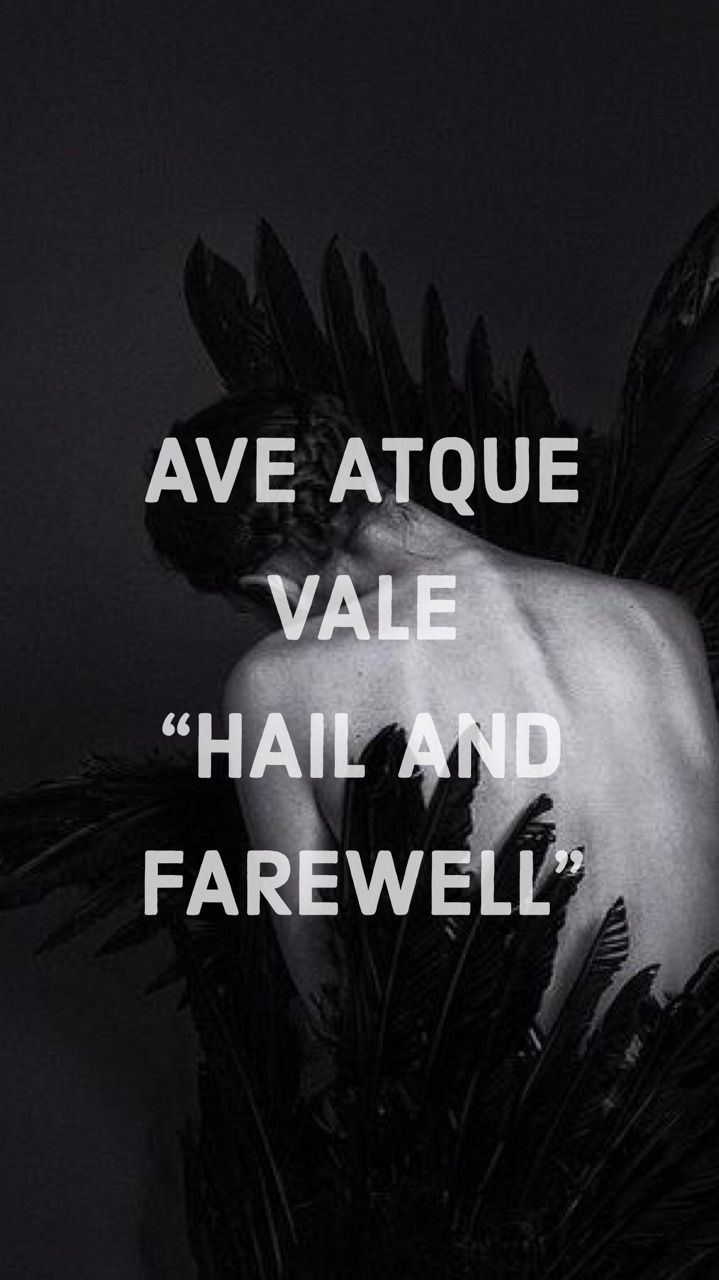 Latin Quotes Wallpapers - Top Free Latin Quotes Backgrounds ...