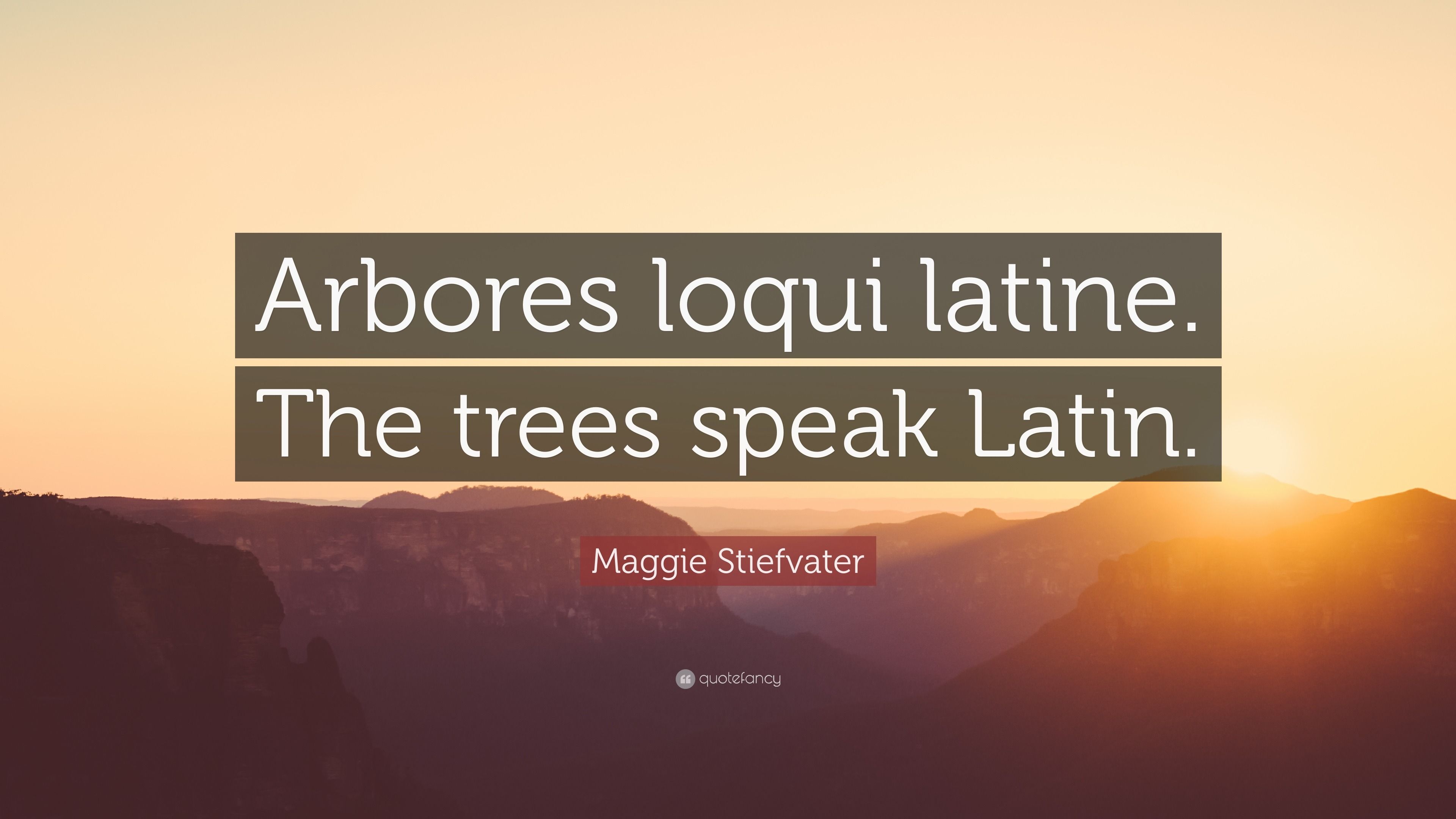 Latin Quotes Wallpapers - Top Free Latin Quotes Backgrounds ...