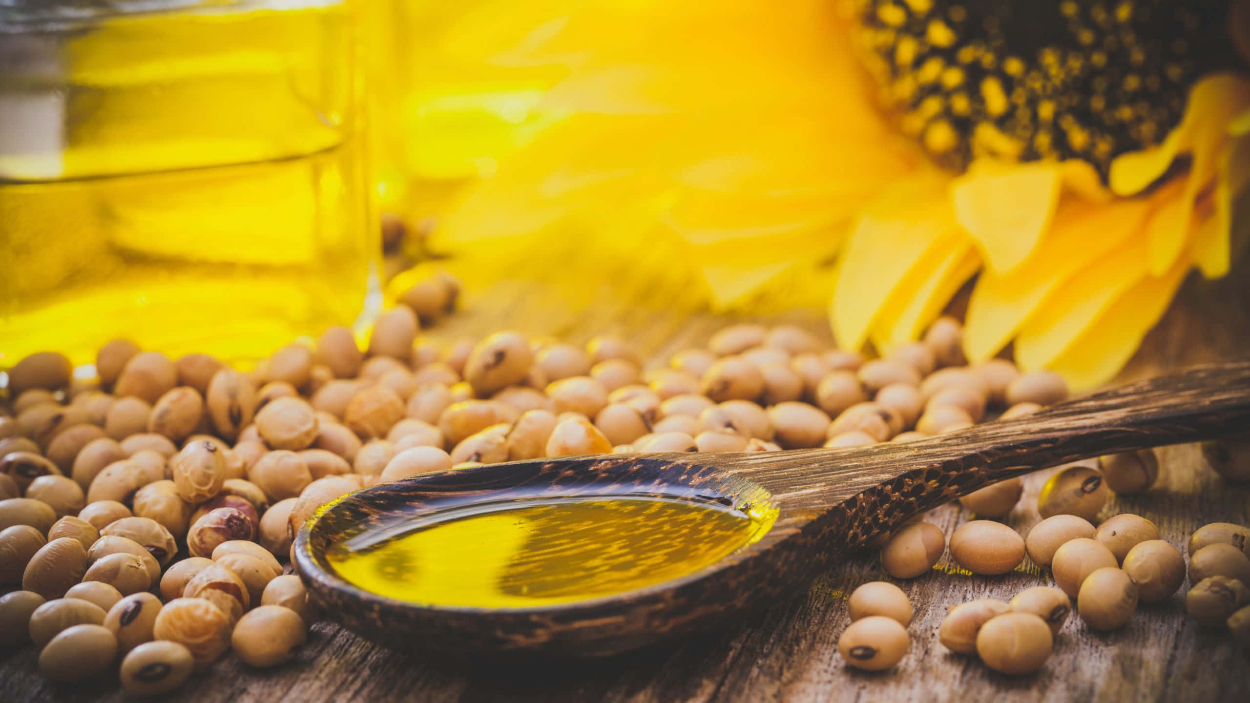 Cooking Oil Wallpapers - Top Free Cooking Oil Backgrounds - WallpaperAccess