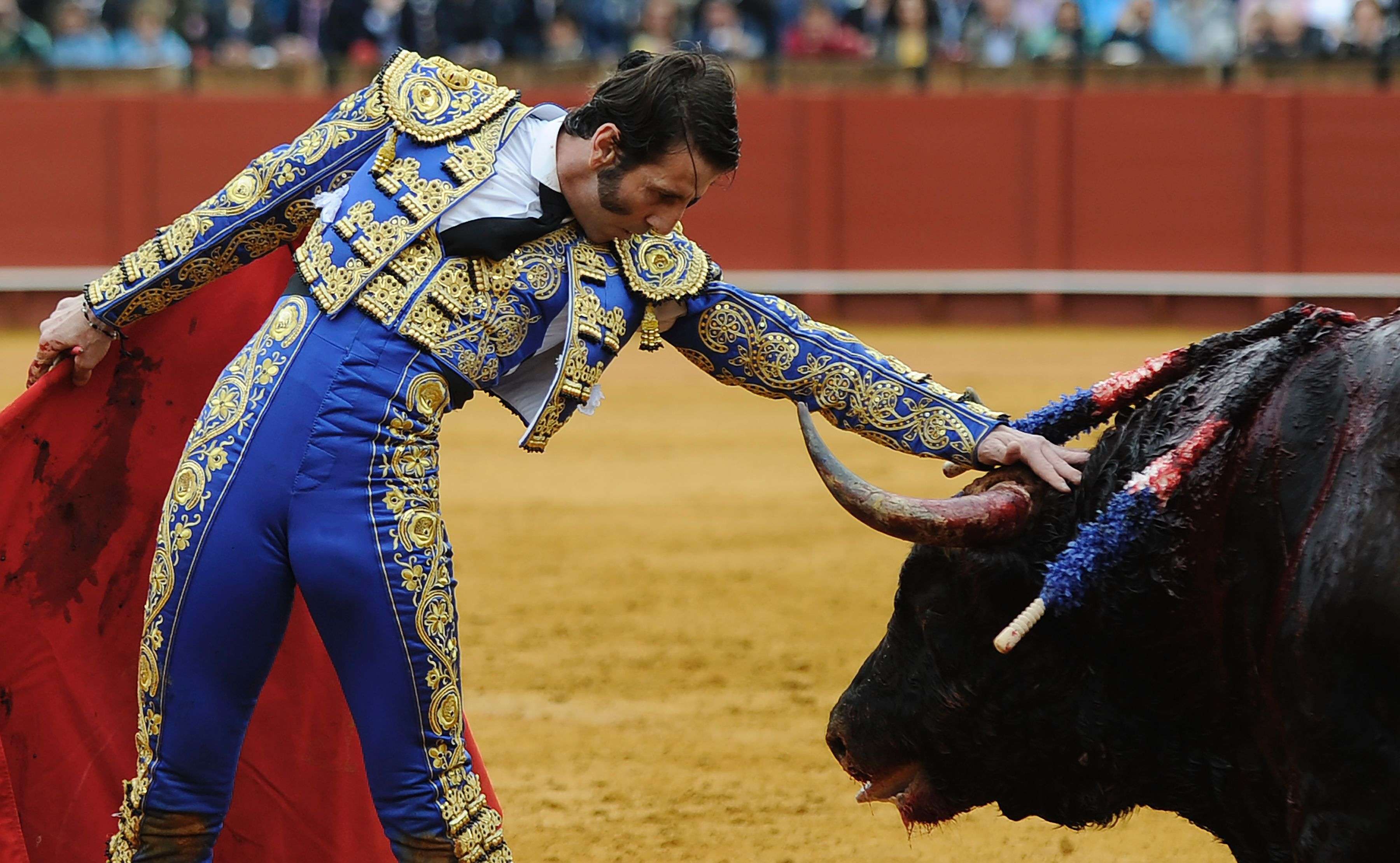 Bullfighting Wallpapers - Top Free Bullfighting Backgrounds - WallpaperAccess