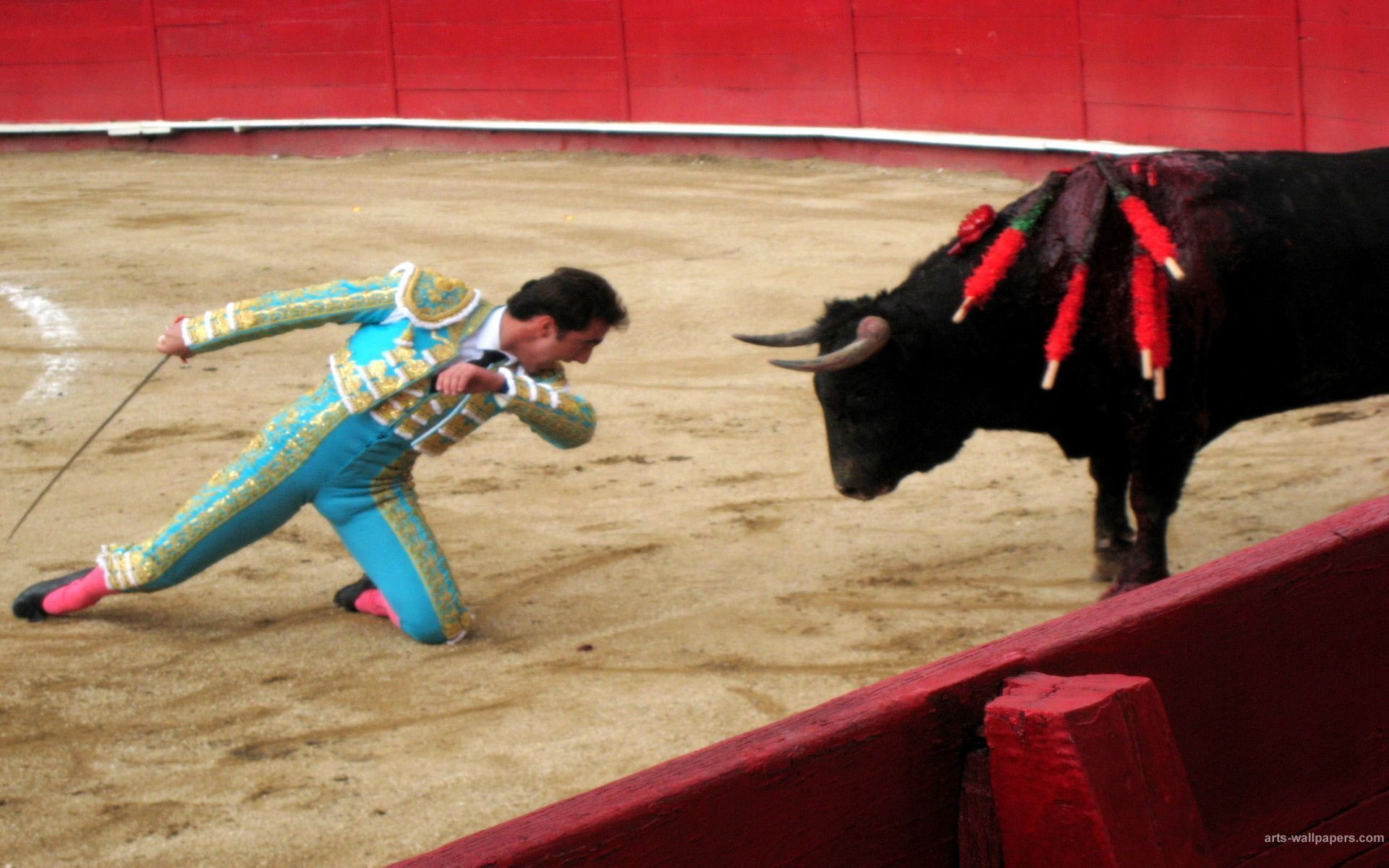 Bullfighting Wallpapers - Top Free Bullfighting Backgrounds ...