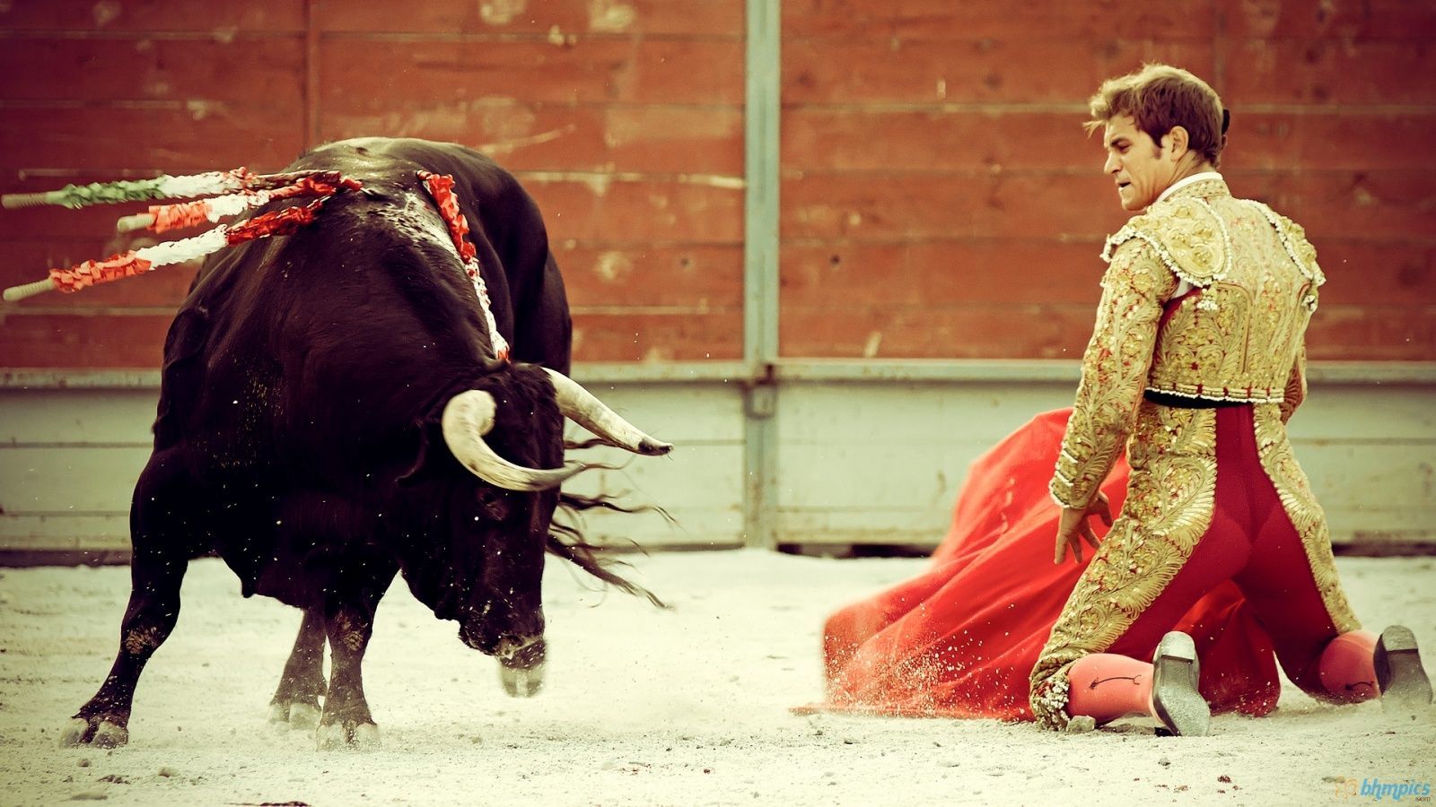 Bullfighting Wallpapers - Top Free Bullfighting Backgrounds ...
