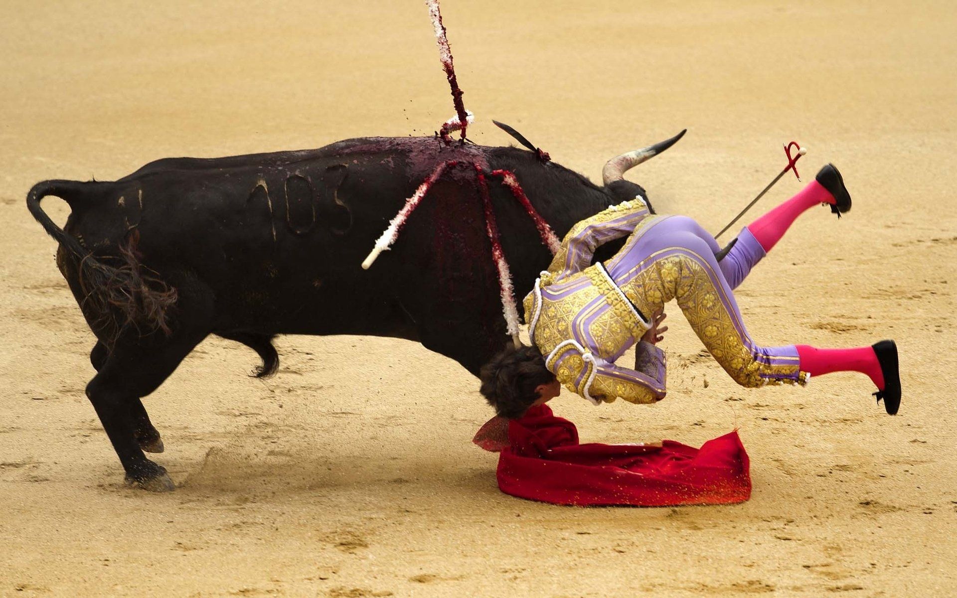 Bullfighting Wallpapers - Top Free Bullfighting Backgrounds ...