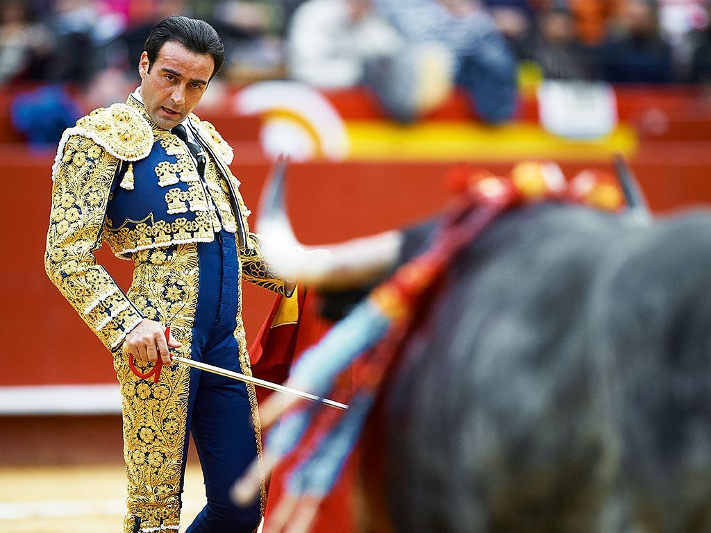 Bullfighting Wallpapers - Top Free Bullfighting Backgrounds ...