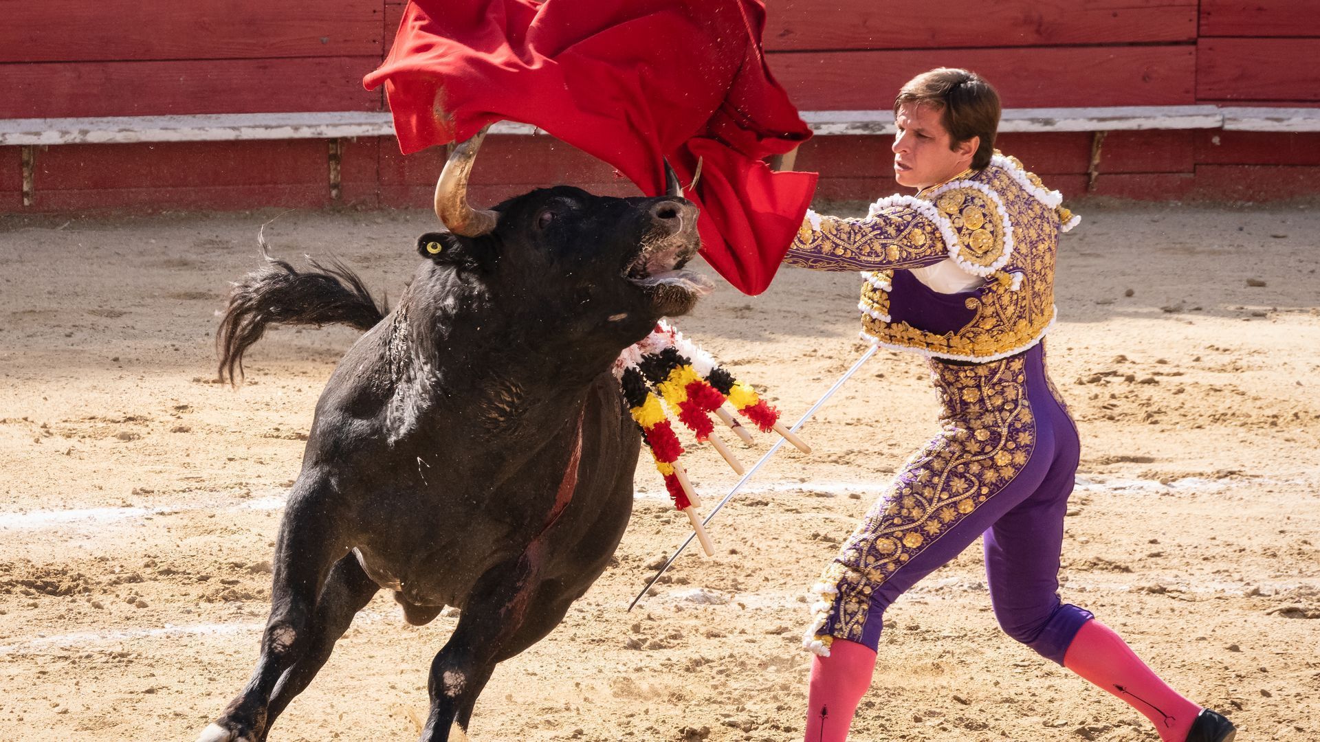 Bullfighting Wallpapers - Top Free Bullfighting Backgrounds ...