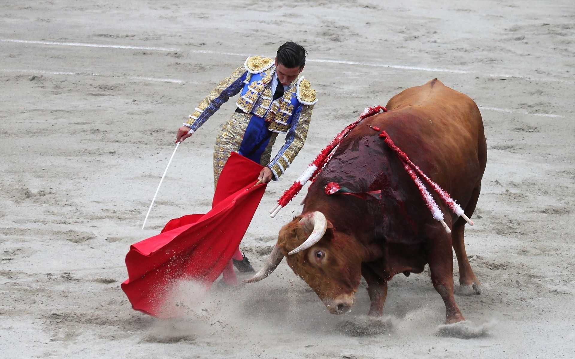 Bullfighting Wallpapers - Top Free Bullfighting Backgrounds ...
