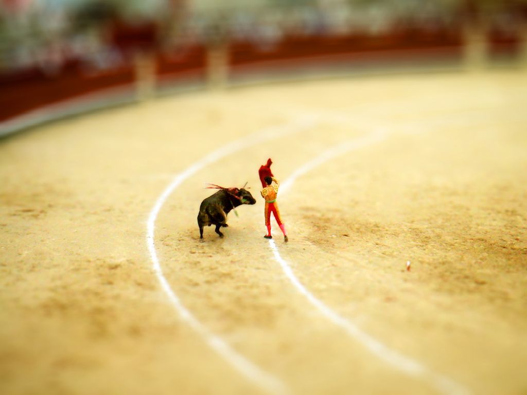 Bullfighting Wallpapers - Top Free Bullfighting Backgrounds ...