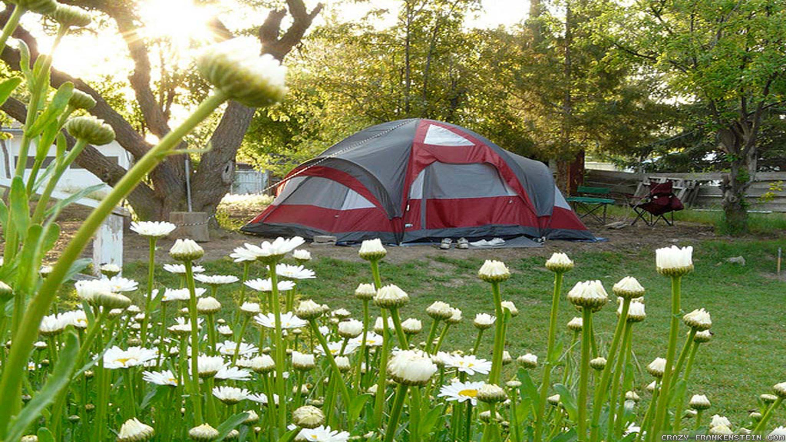 Spring Camping Wallpapers - Top Free Spring Camping Backgrounds ...