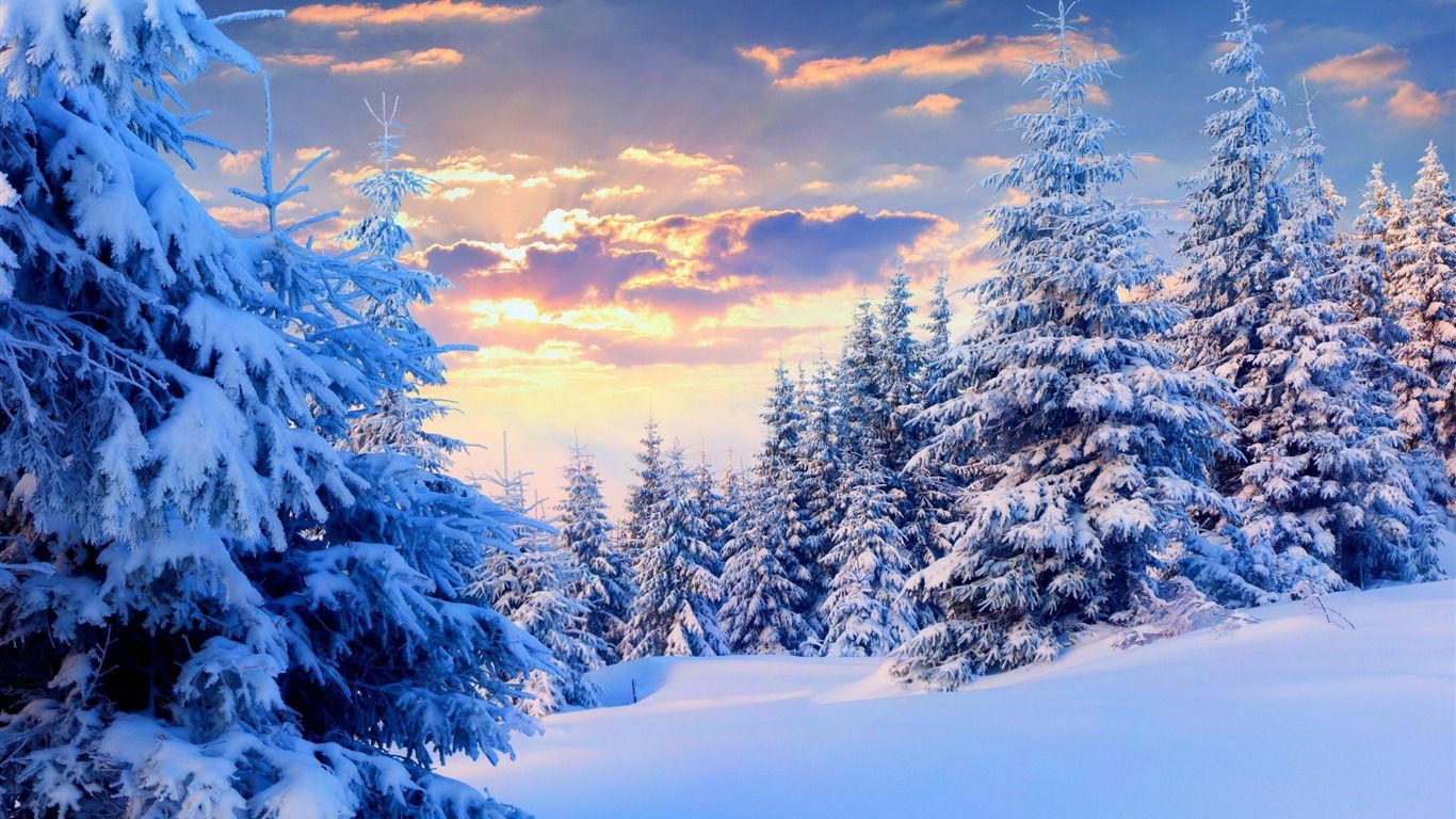 Neige Wallpapers - Top Free Neige Backgrounds - WallpaperAccess