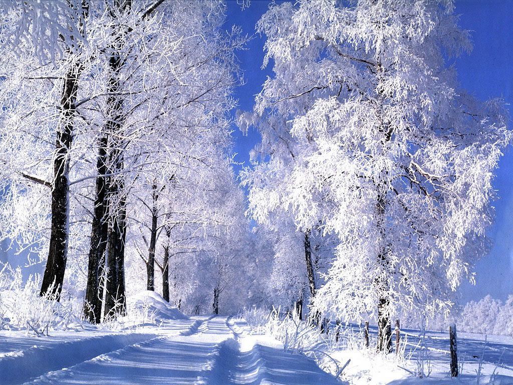 Neige Wallpapers - Top Free Neige Backgrounds - WallpaperAccess