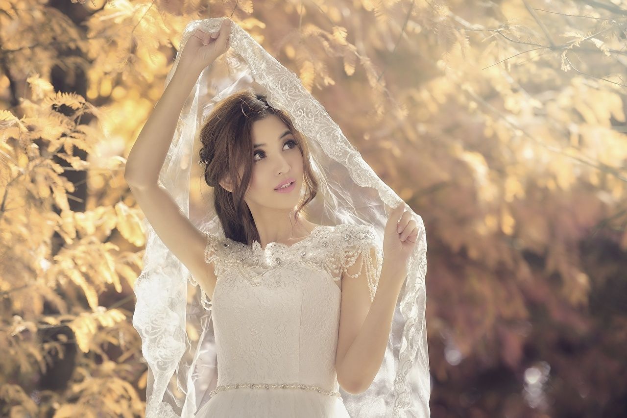 Bridel Wallpapers - Top Free Bridel Backgrounds - WallpaperAccess