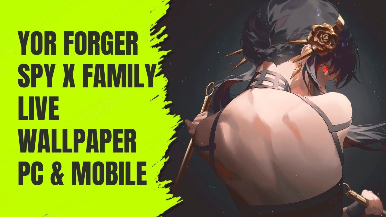 Yor Forger Wallpapers - Top Free Yor Forger Backgrounds - WallpaperAccess